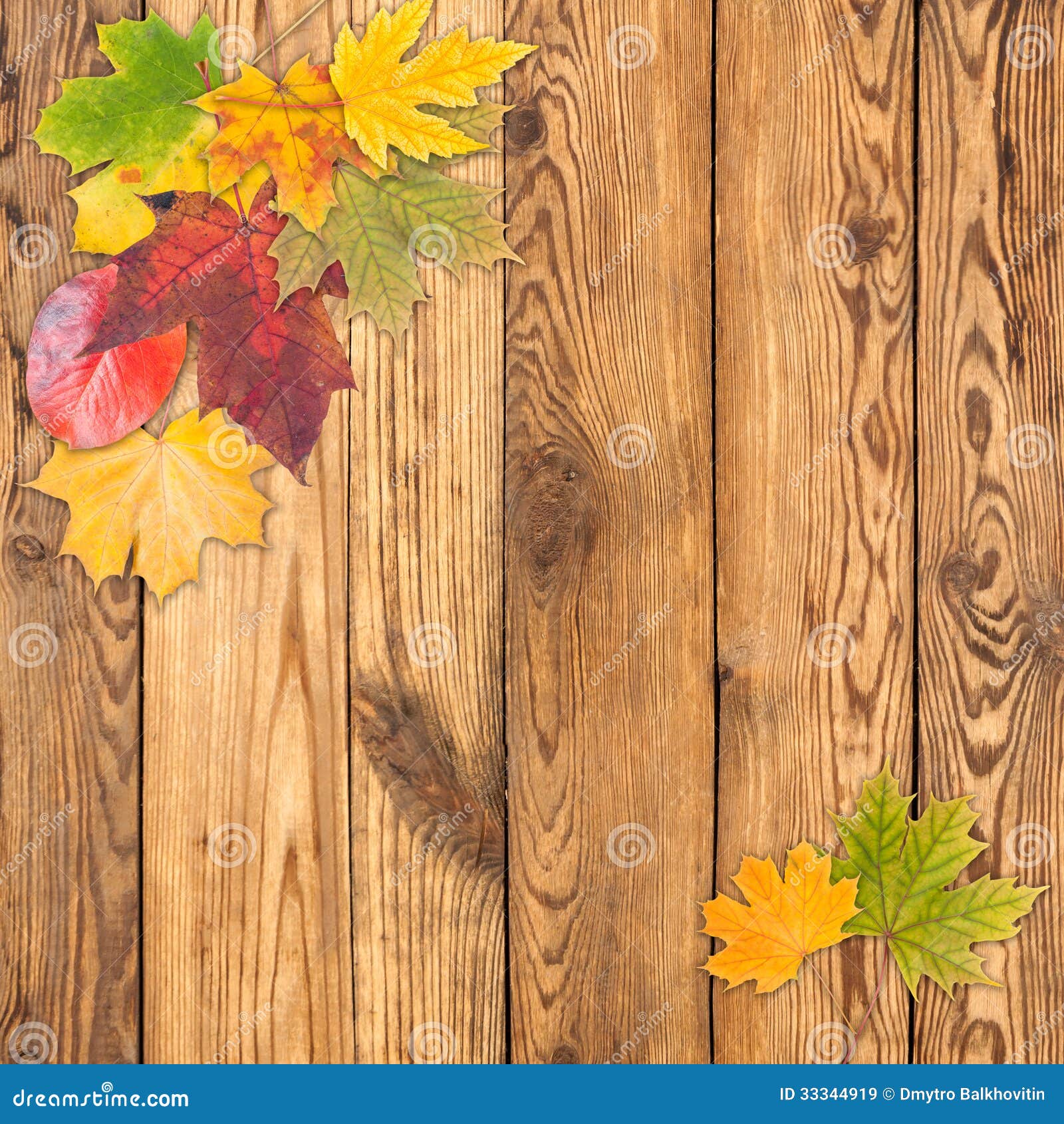 Leaves on a wooden boards stock image. Image of background - 33344919