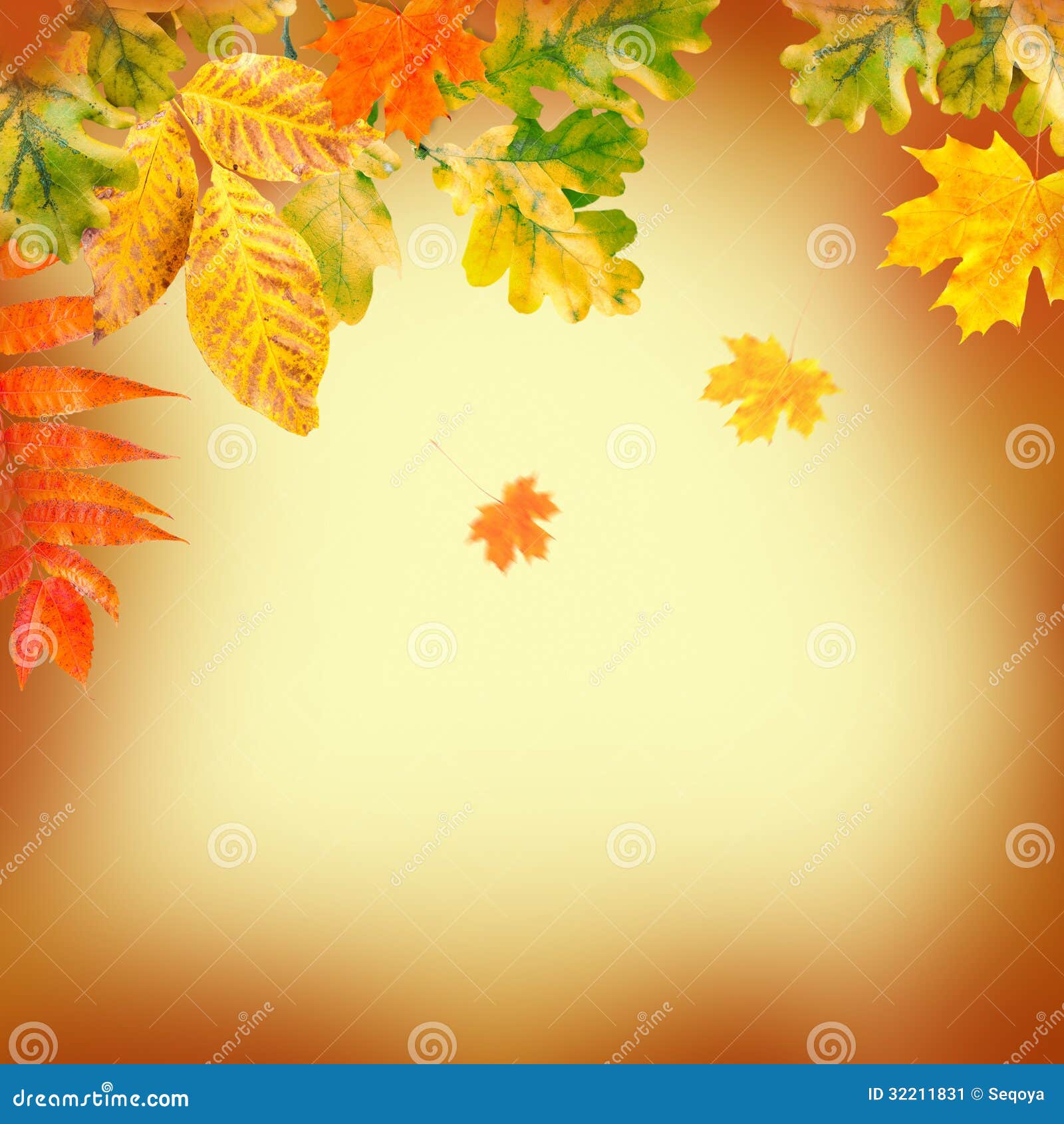 Leaves on a Yellow Background Stock Image - Image of background ...