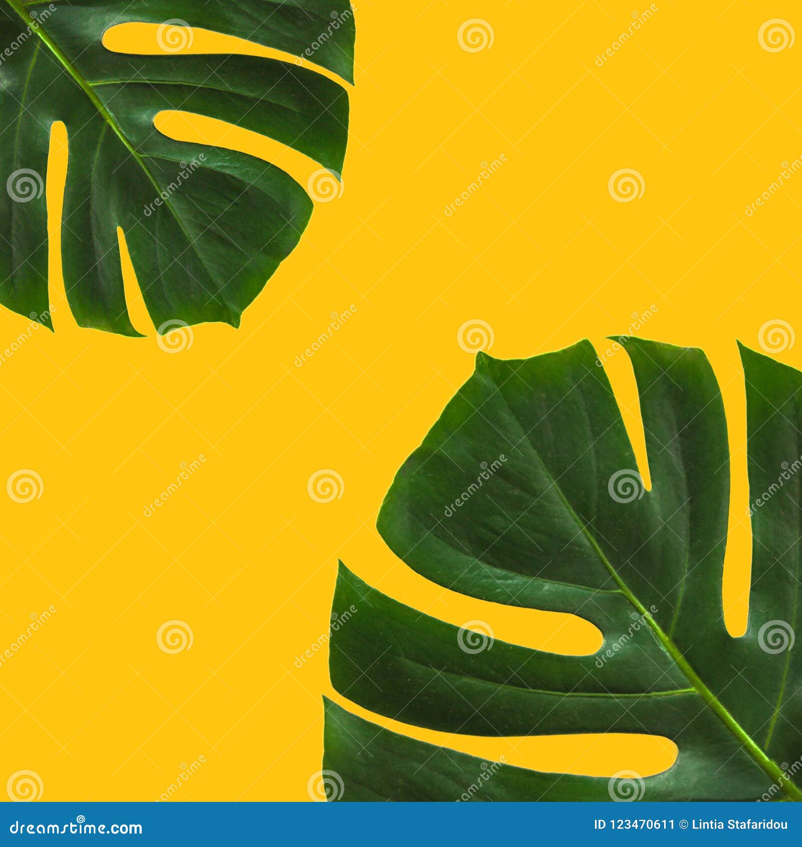 Leaves with Yellow Background Stock Image - Image of design, nature ...