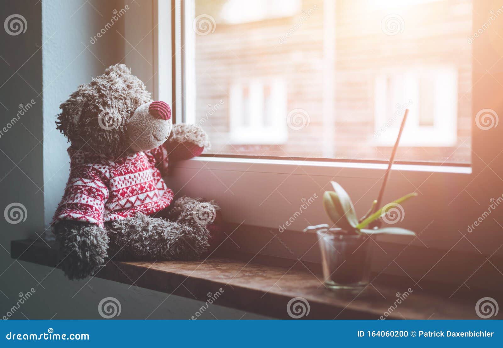Leaving Concept: Teddy Bear is Looking Out of the Window, Sunlight ...
