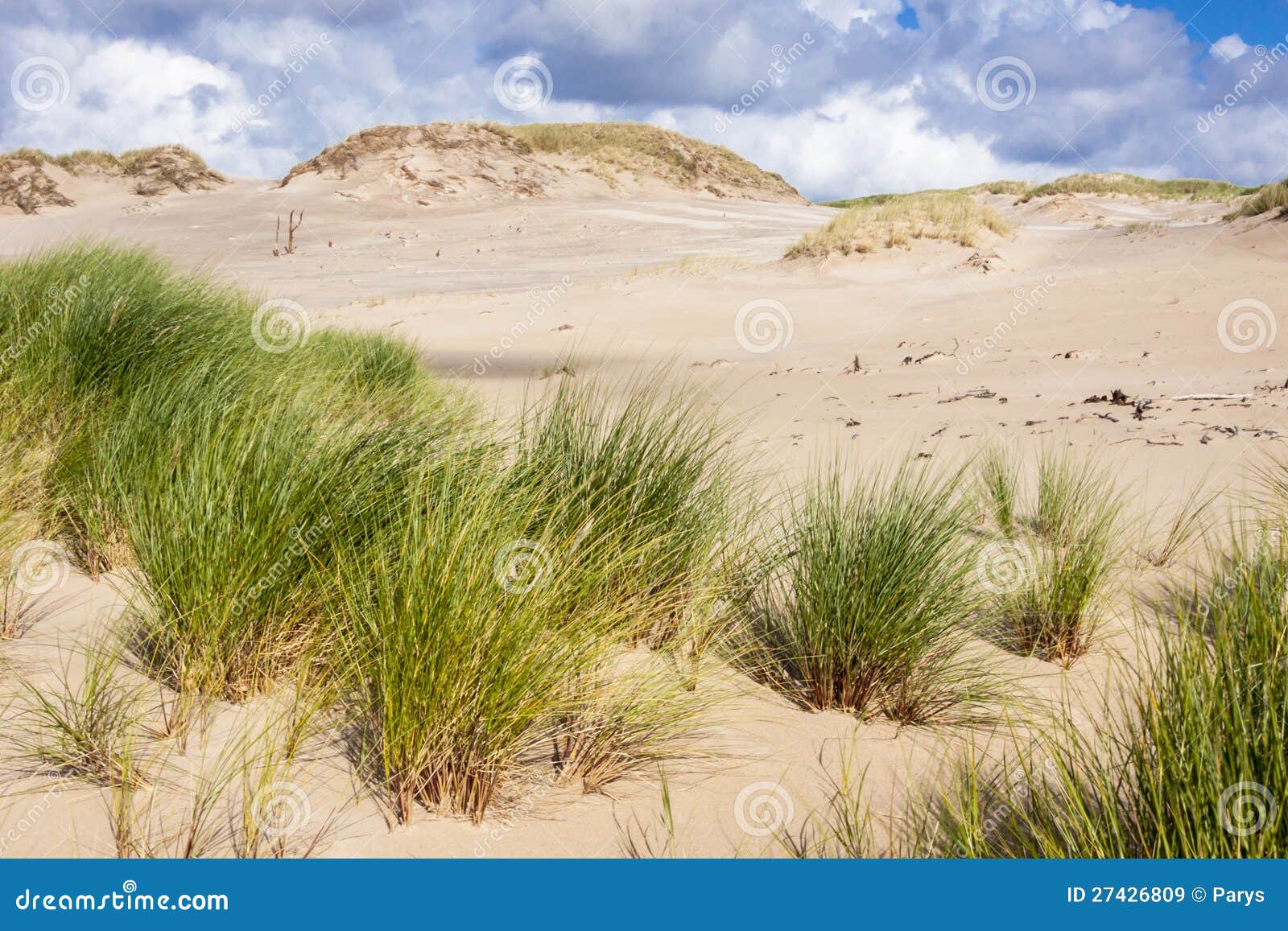 Leba National Park - Poland Stock Image - Image of leba, outdoor: 27426809