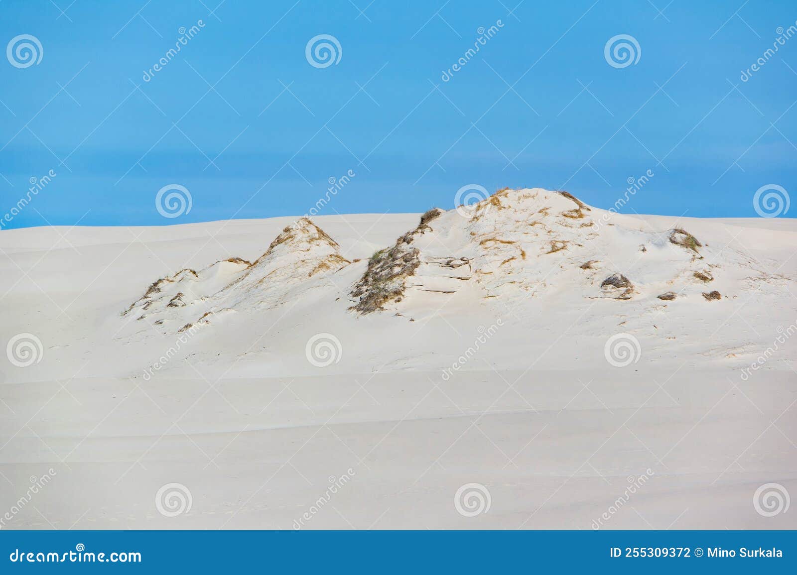 Leba Sand Desert and Dunes in Poland Stock Photo - Image of leba, sandy ...