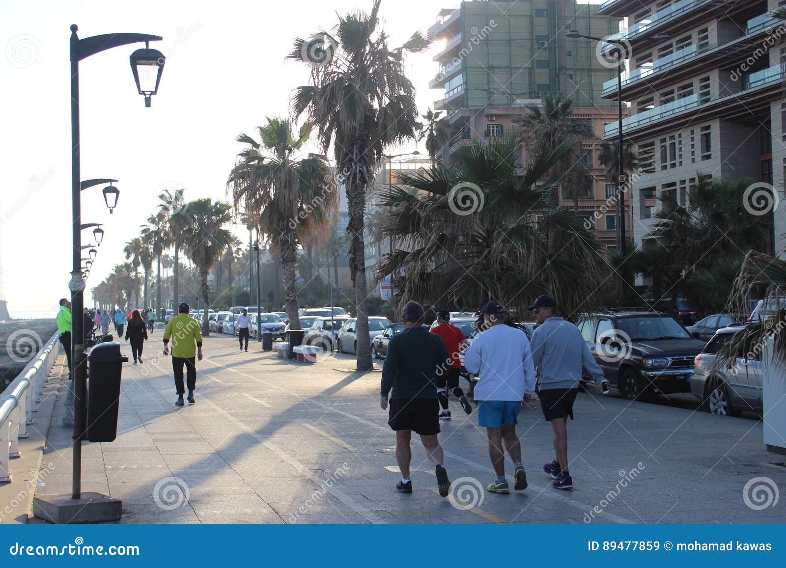 Lebanon beirut editorial stock image. Image of arecales - 89477859