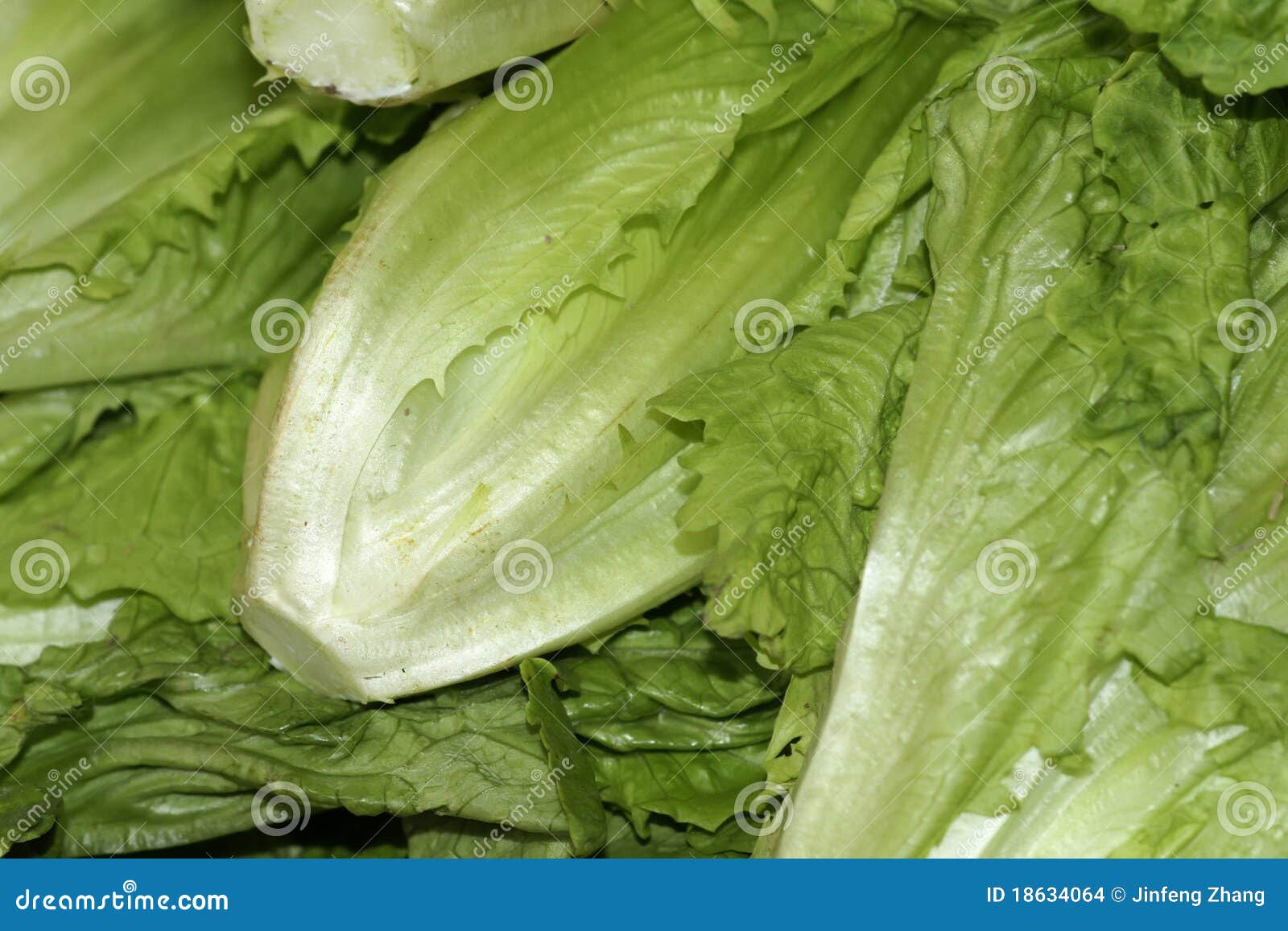 Lechuga foto de archivo. Imagen de hojas, fresco, alimento - 18634064