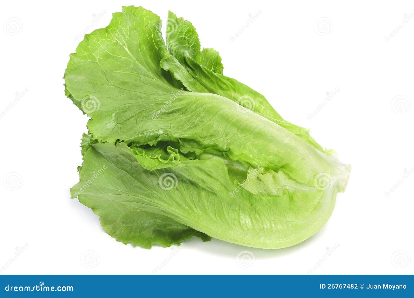 Lechuga foto de archivo. Imagen de mercado, ajuste, supermercado - 26767482