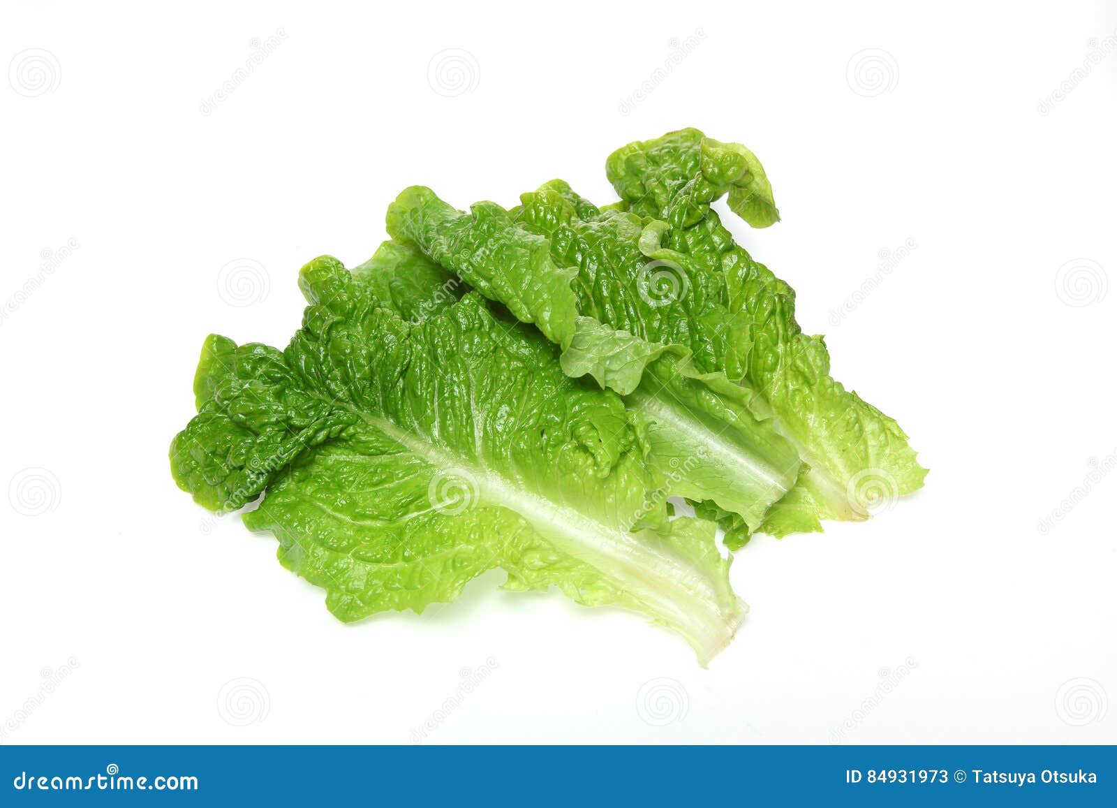 Lechuga coreana imagen de archivo. Imagen de alimento - 84931973