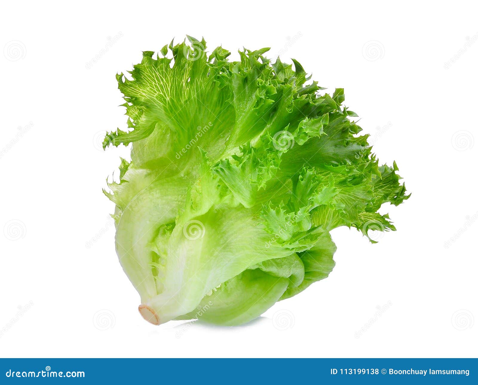 Lechuga De Iceberg Verde Del Frillice Aislada En Blanco Foto de archivo ...