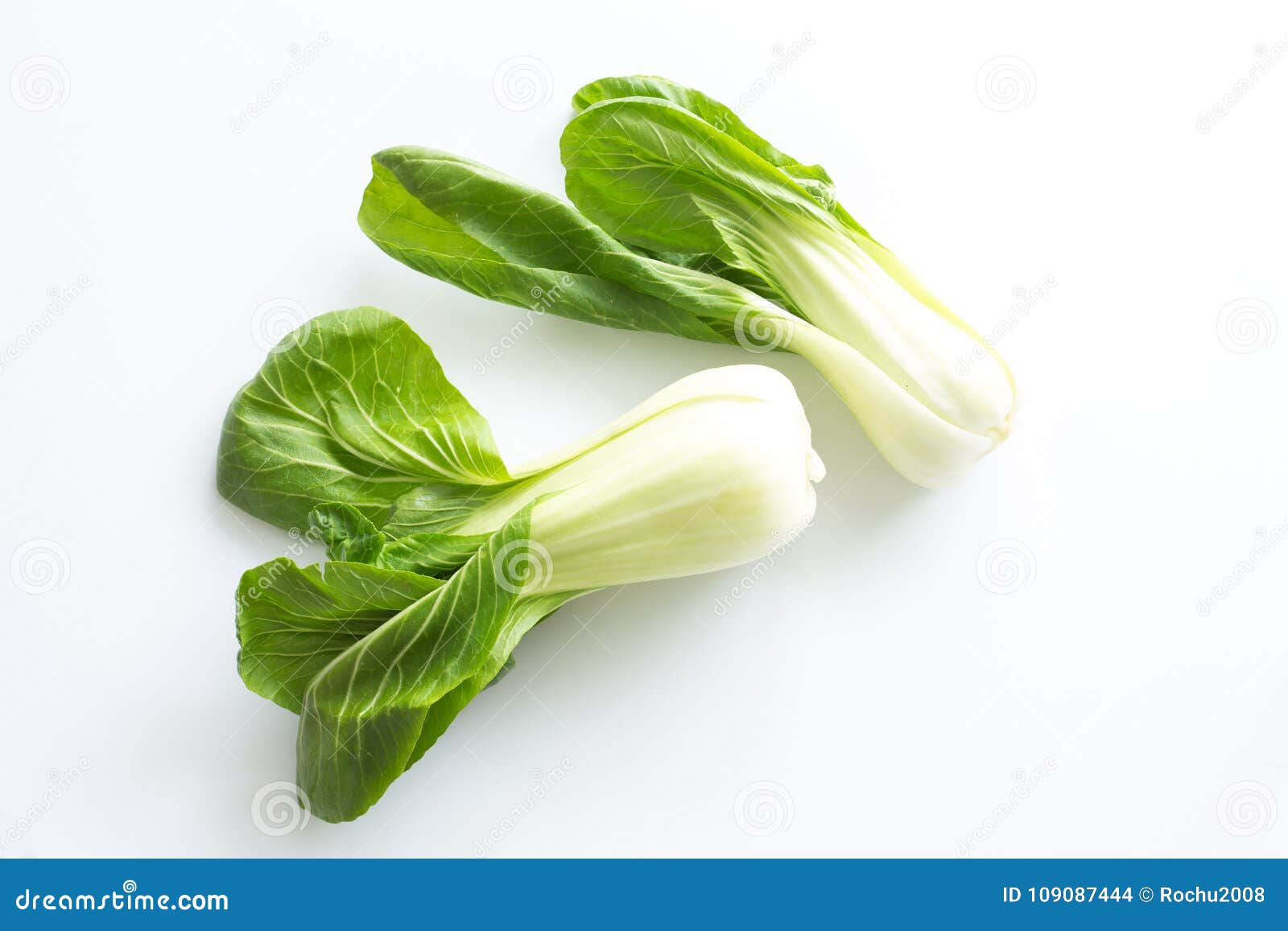 Lechuga De Pak Choi En El Fondo Blanco Foto de archivo - Imagen de ...