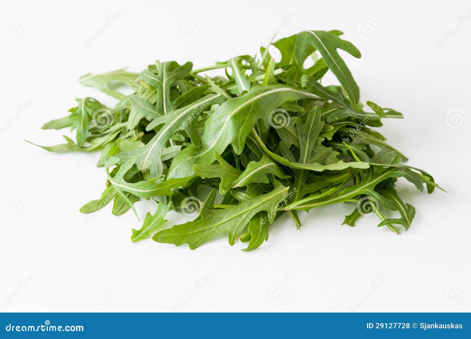 Lechuga de Rucola foto de archivo. Imagen de alimento - 29127728