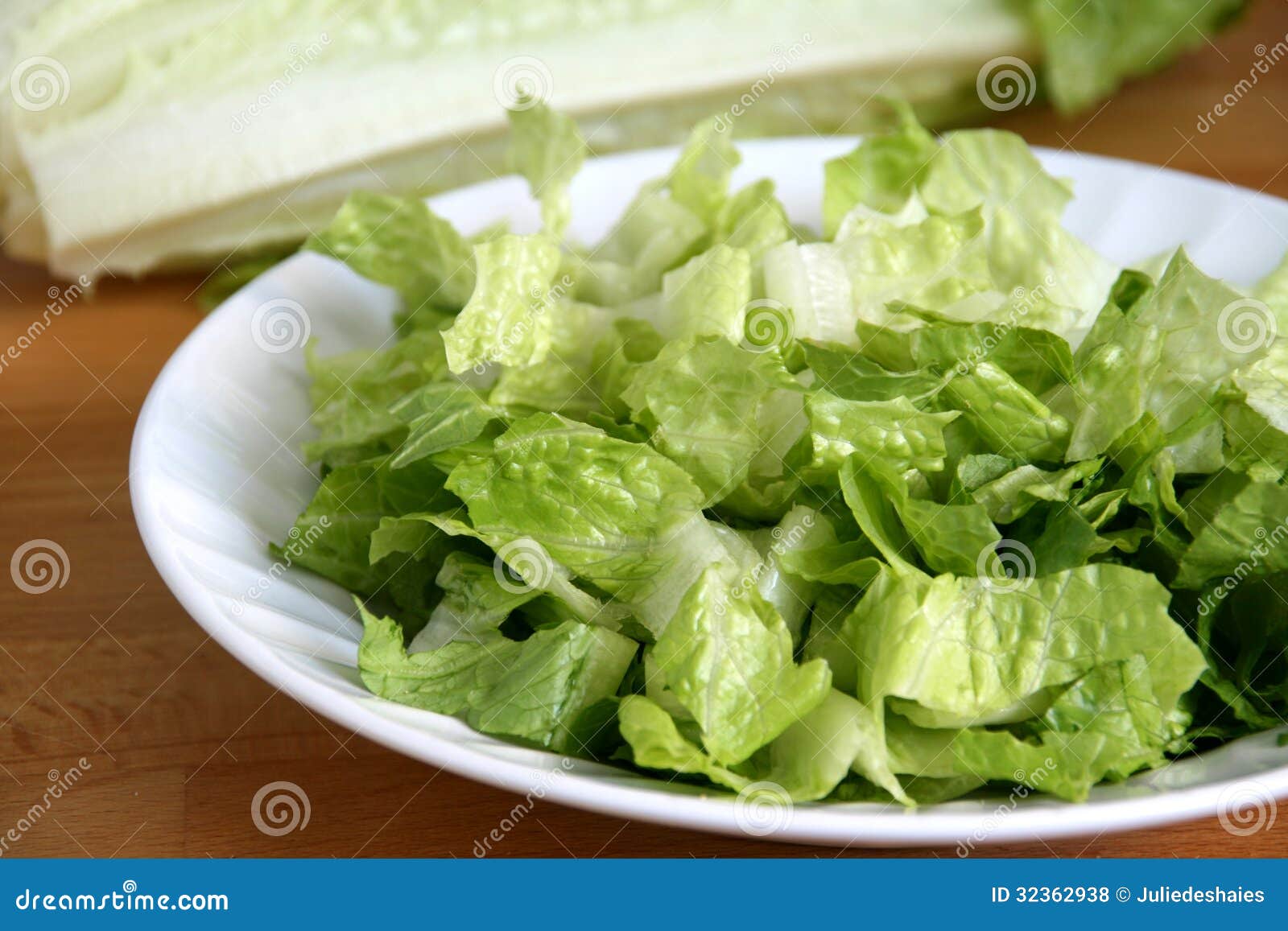 Lechuga Del Corte De La Lechuga Romana Foto de archivo - Imagen de ...