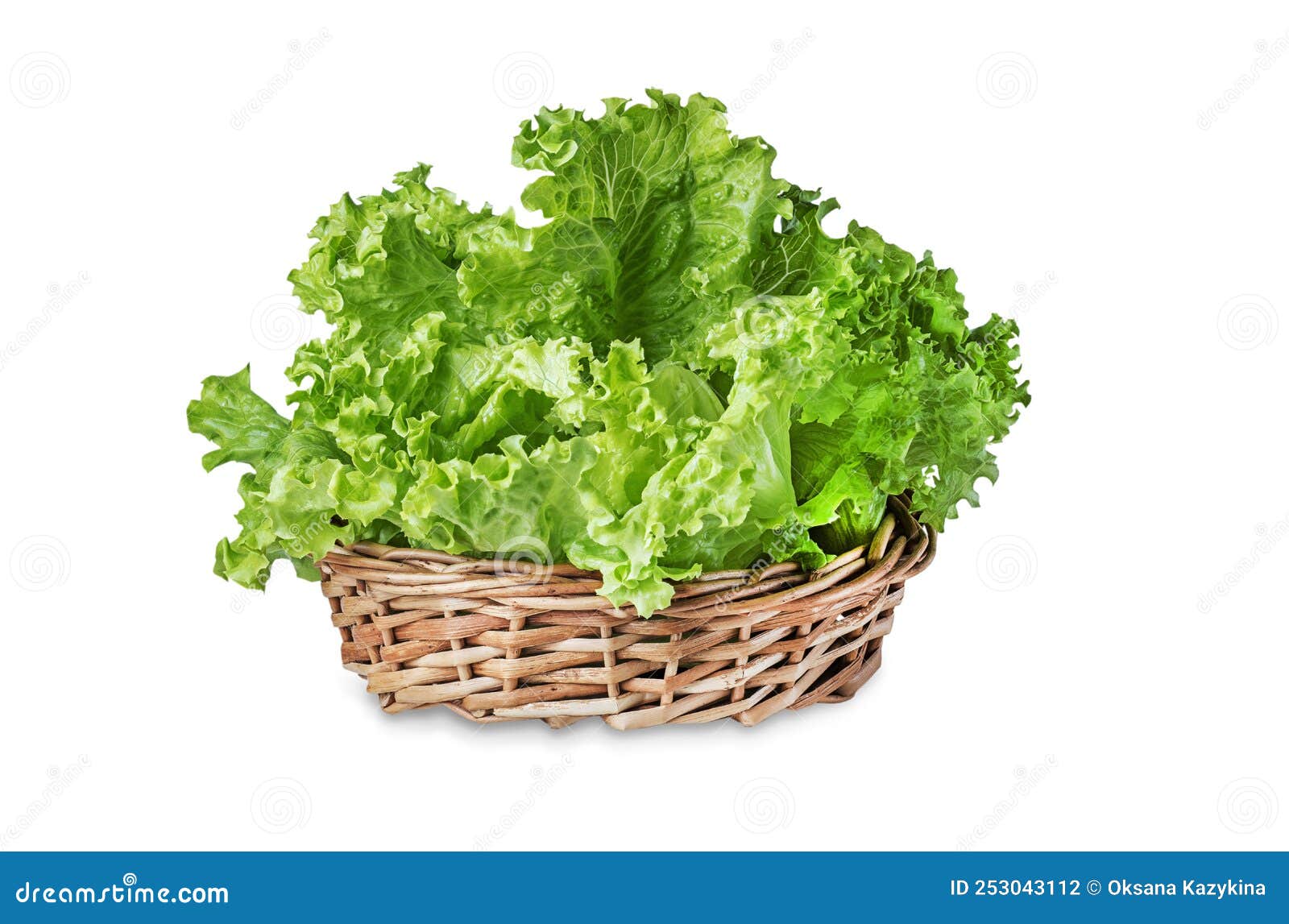 Lechuga En Canasta. Aislado En Fondo Blanco Foto de archivo - Imagen de ...