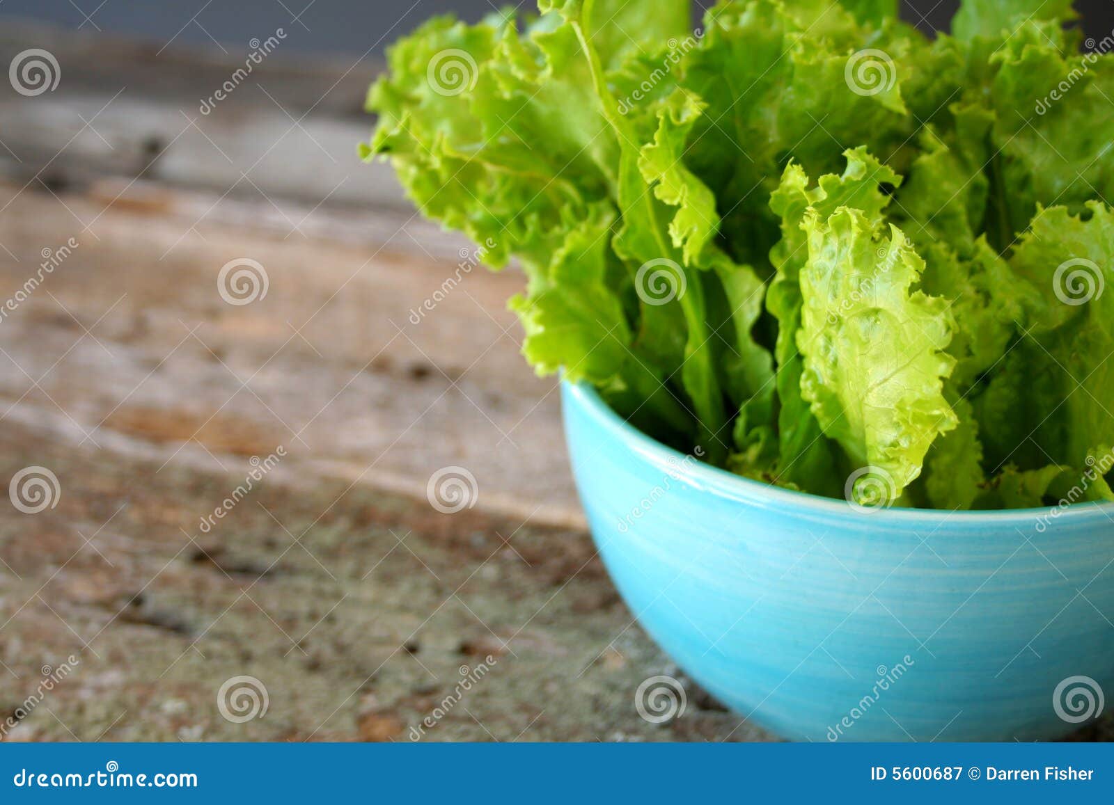 Lechuga fresca imagen de archivo. Imagen de verde, limpio - 5600687