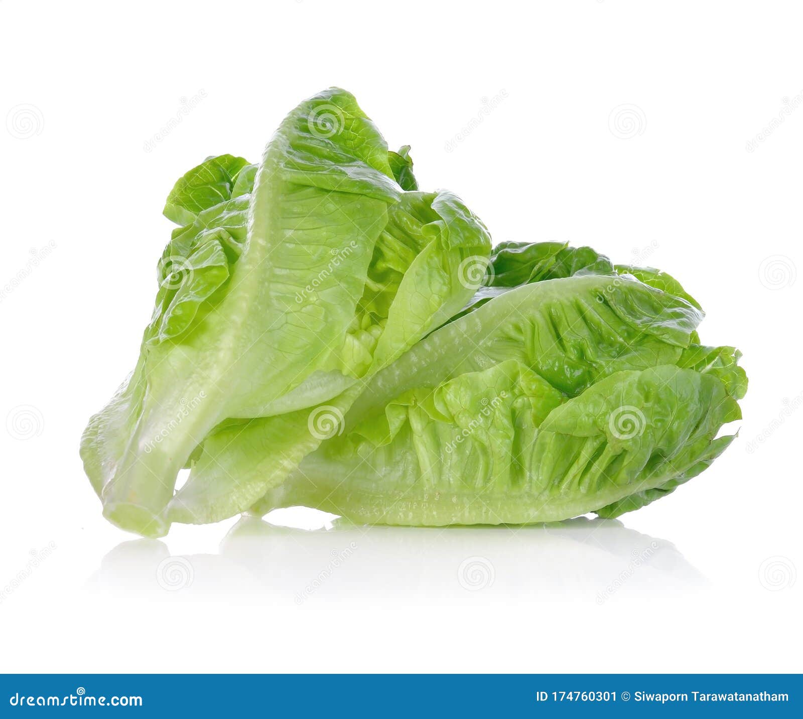 Lechuga Fresca Aislada Sobre Fondo Blanco Imagen de archivo - Imagen de ...