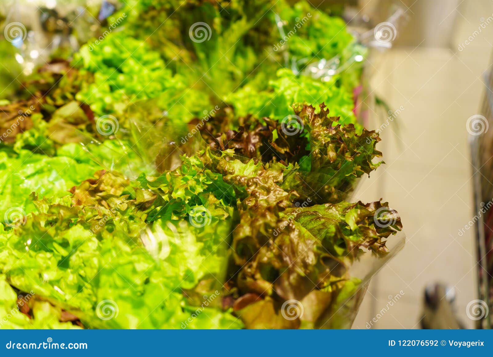 Lechuga Verde De La Endibia En Estante De La Tienda Foto de archivo ...