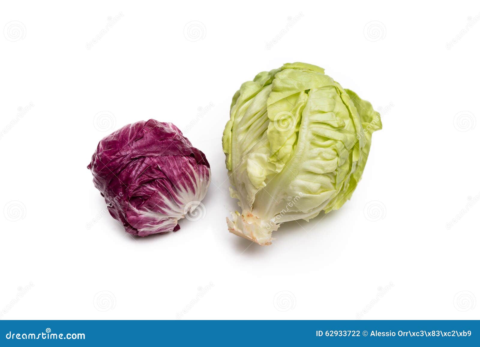 Lechuga y achicoria foto de archivo. Imagen de lechuga - 62933722