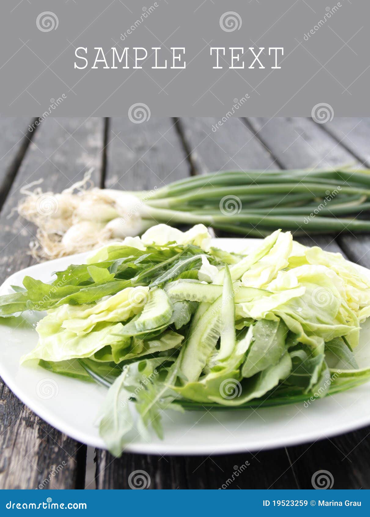 Lechuga y arugula imagen de archivo. Imagen de crudo - 19523259
