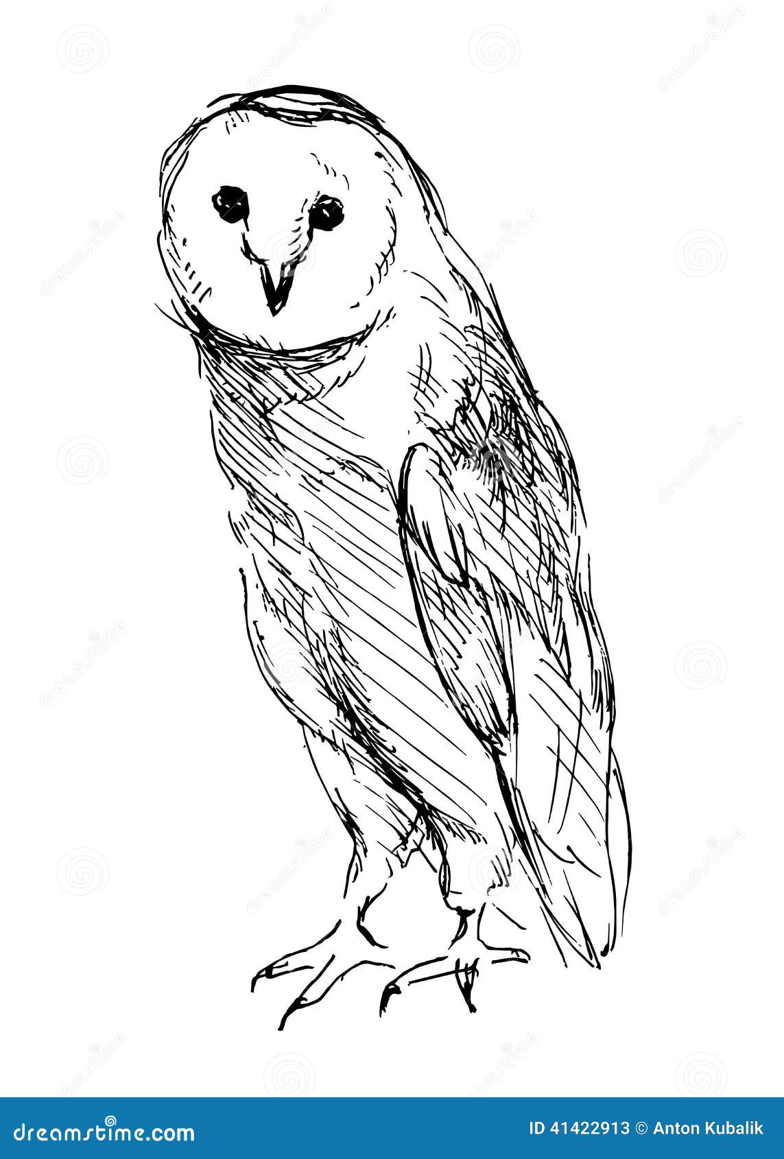 Lechuza común ilustración del vector. Ilustración de aislado - 41422913