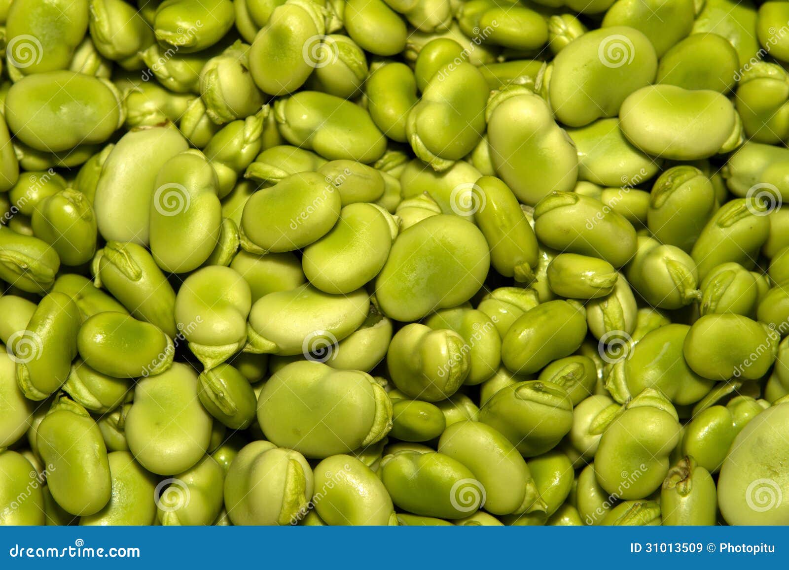 Leckere Limabohnen stockbild. Bild von nahaufnahme, organisch - 31013509