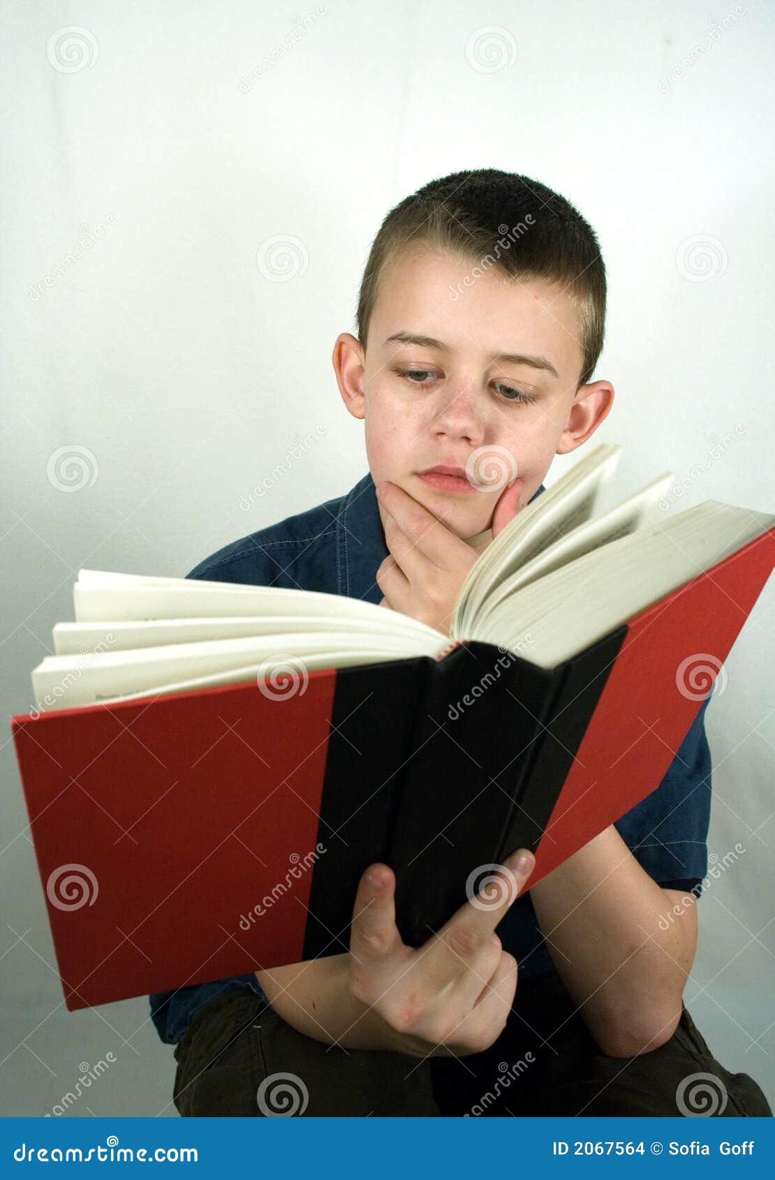 Lecture Image. Image: 2067564