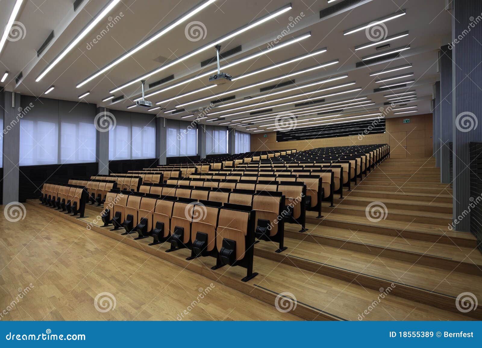 Lecture Hall Royalty-Free Stock Photography | CartoonDealer.com #18556643