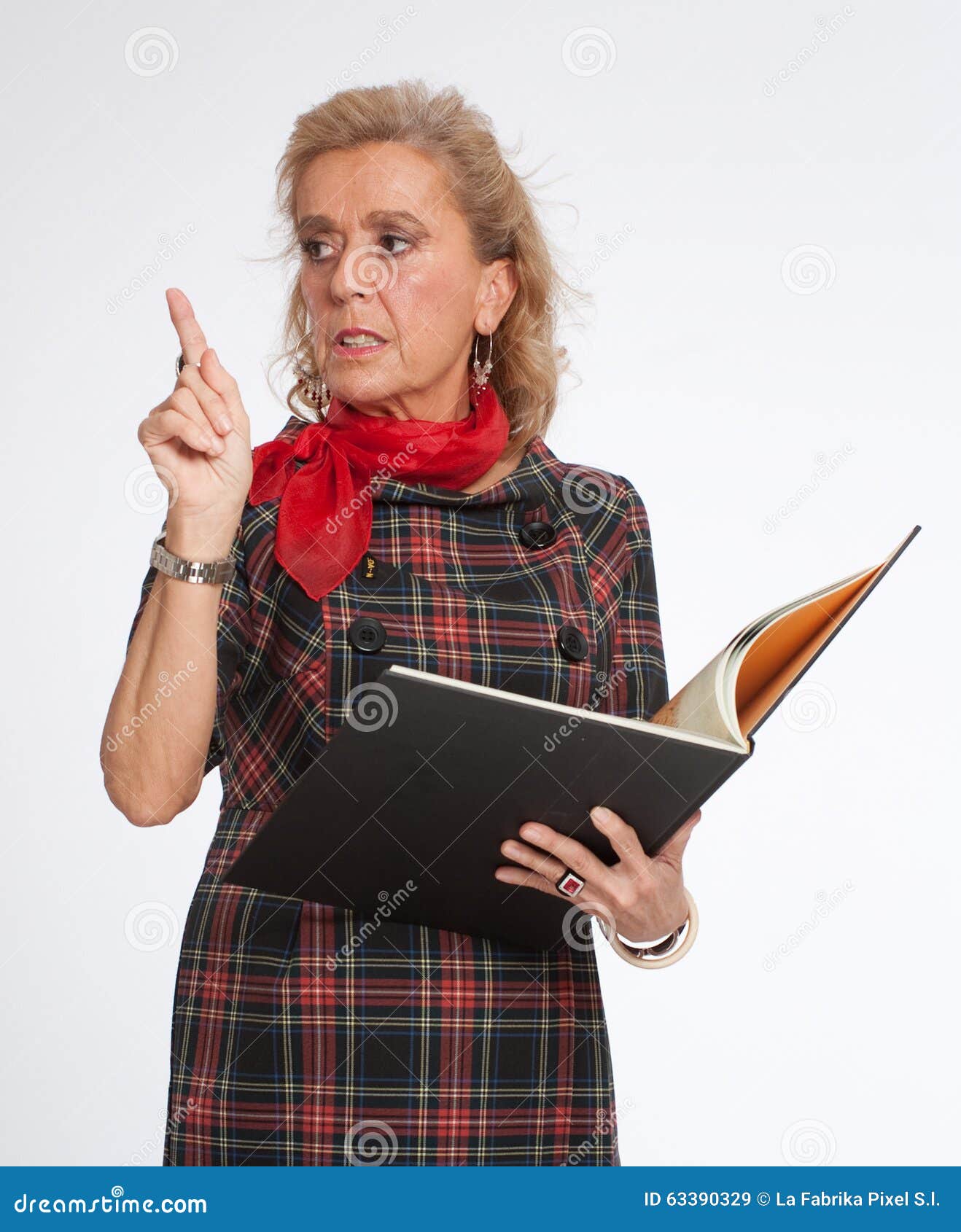 Lecture stock image. Image of attractive, lady, elderly - 63390329