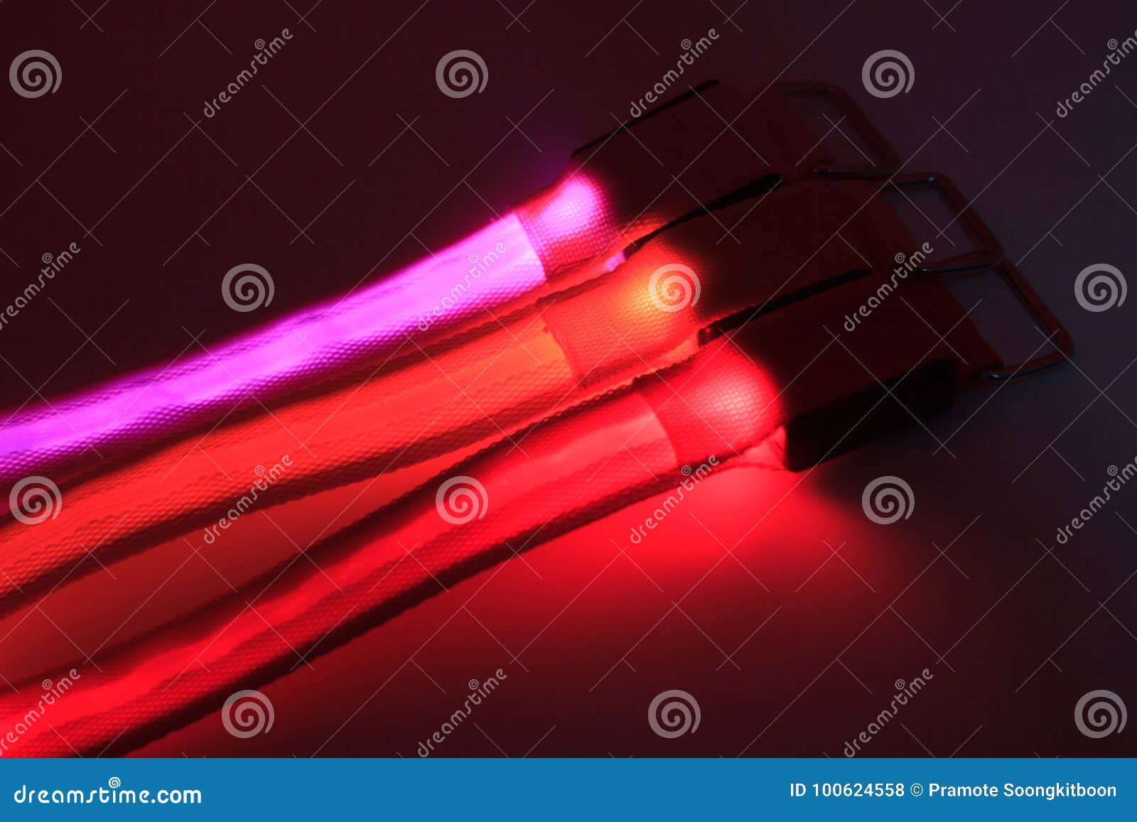 LED arm band stock photo. Image of strap, band, spinner - 100624558