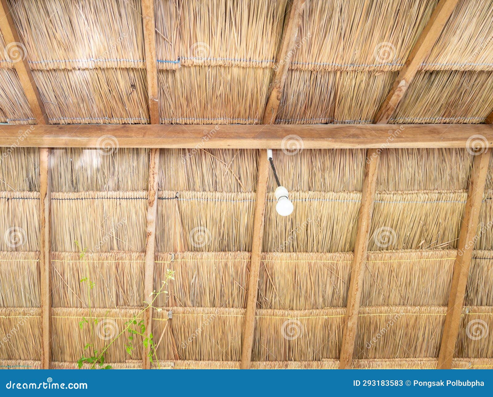 The LED Bulb is Hanging from the Ceiling of the Thatch Stock Image ...