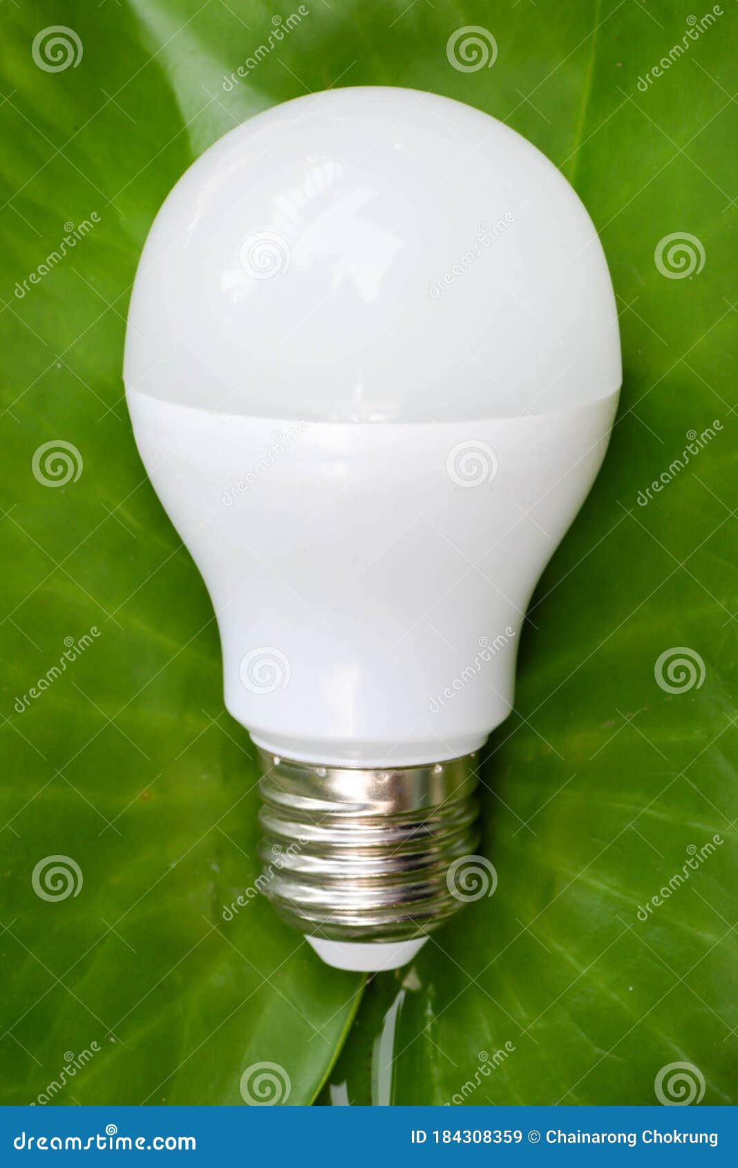 LED Bulb with Lighting on the Green Leaf for Concept of Eco Friendly ...