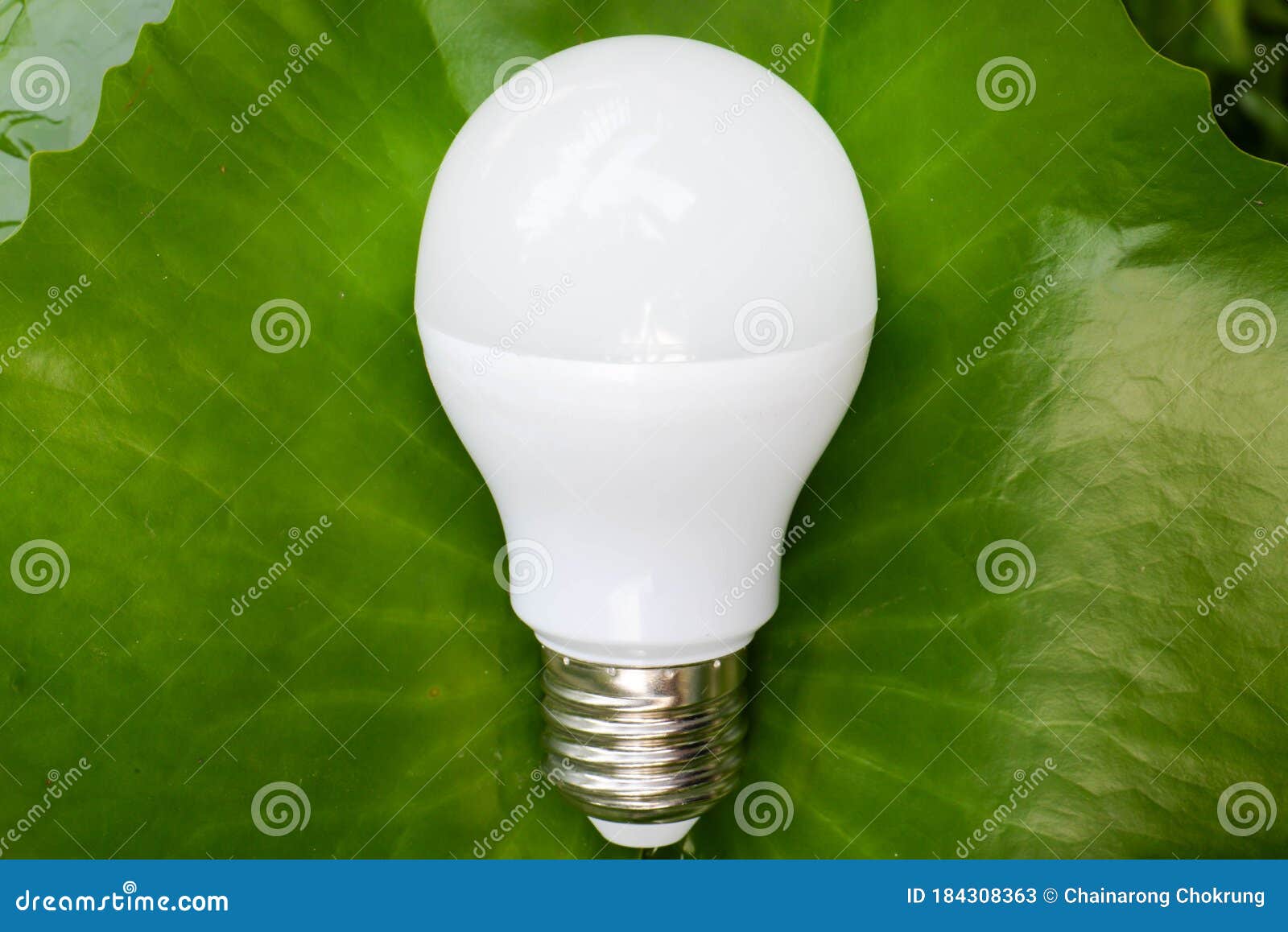 LED Bulb with Lighting on the Green Leaf for Concept of Eco Friendly ...