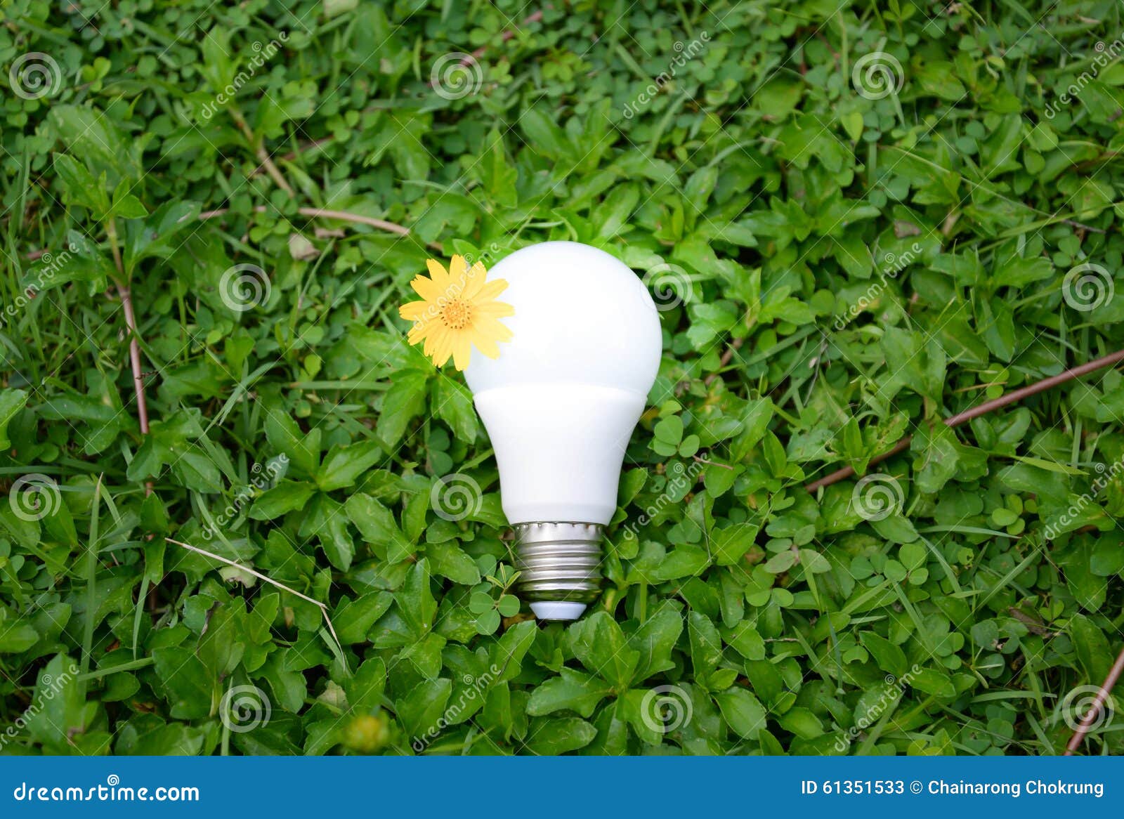 LED Bulb with lighting stock image. Image of environmental - 61351533