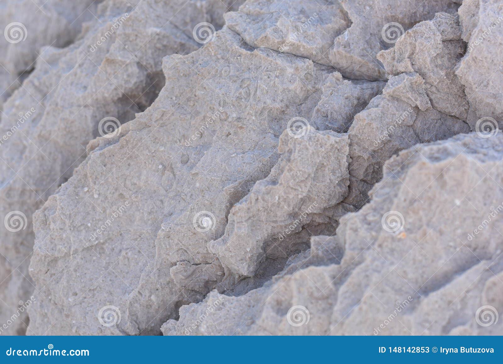 Texture of Natural Gray Stone with Fossils. Stock Image - Image of ...
