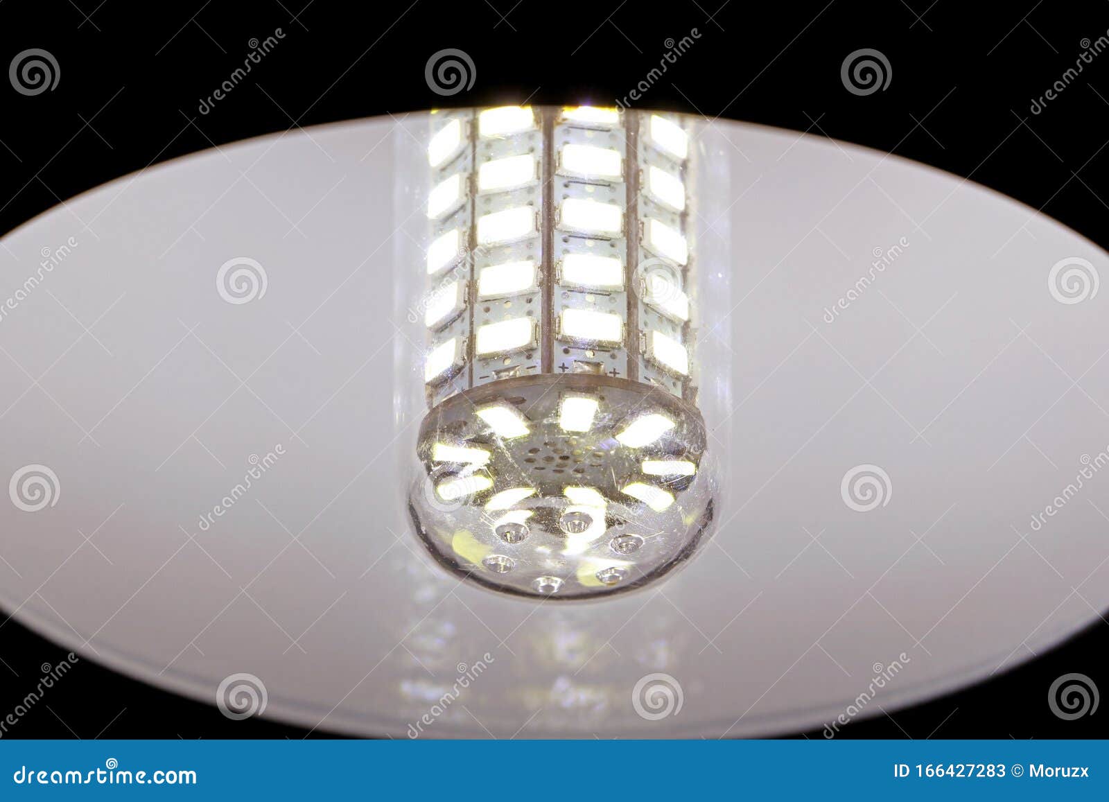 LED E27 Economic Light Bulb Lighted in the Illumination Corp Stock ...
