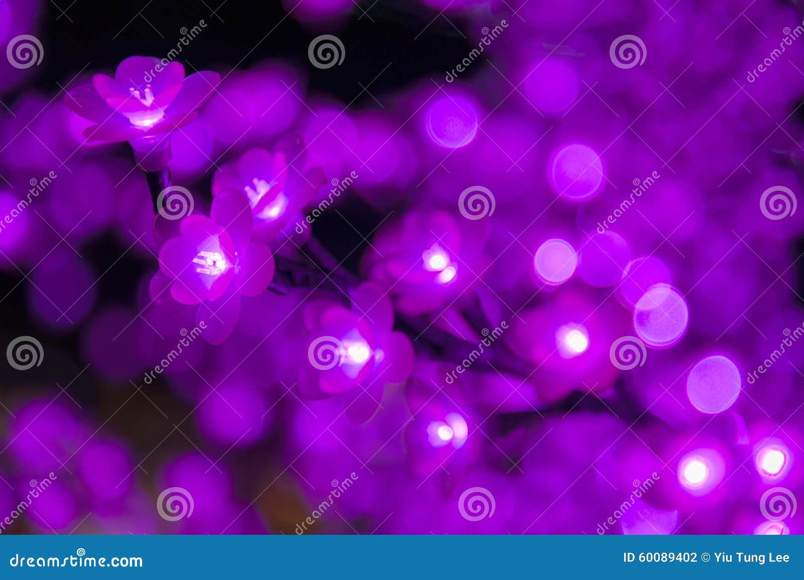 LED flower stock photo. Image of colour, celebration - 60089402