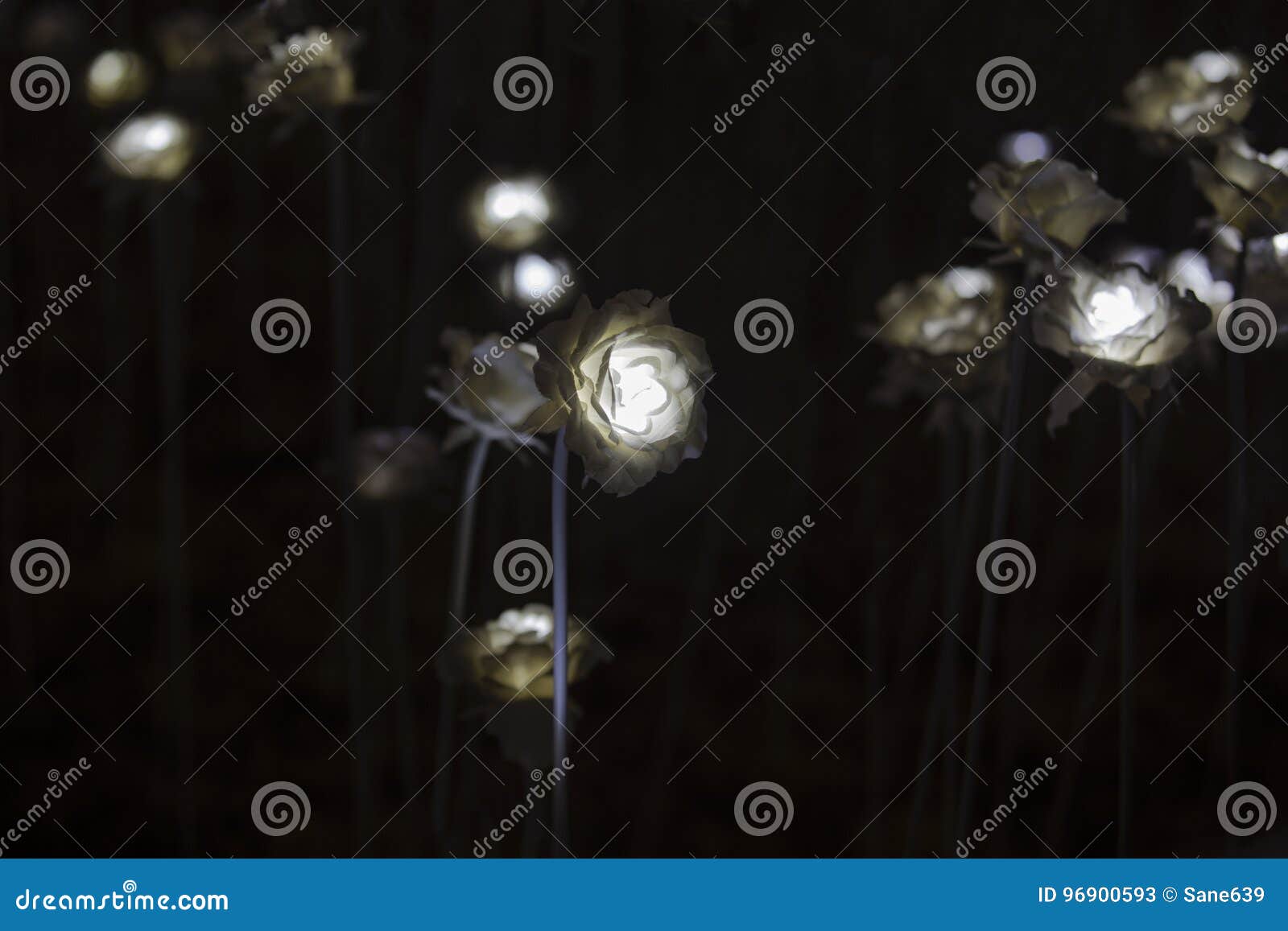 LED Flower stock image. Image of perfume, font, isolated - 96900593