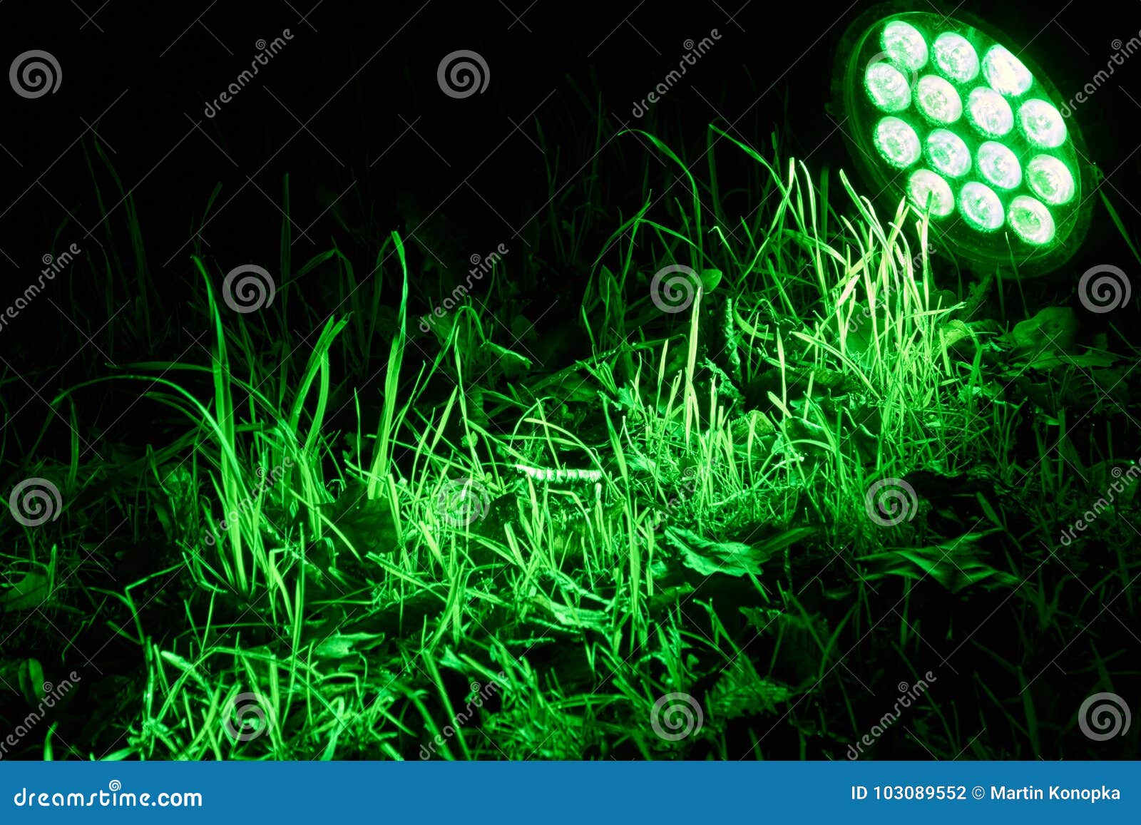 LED lamp stock photo. Image of close, nature, flora - 103089552