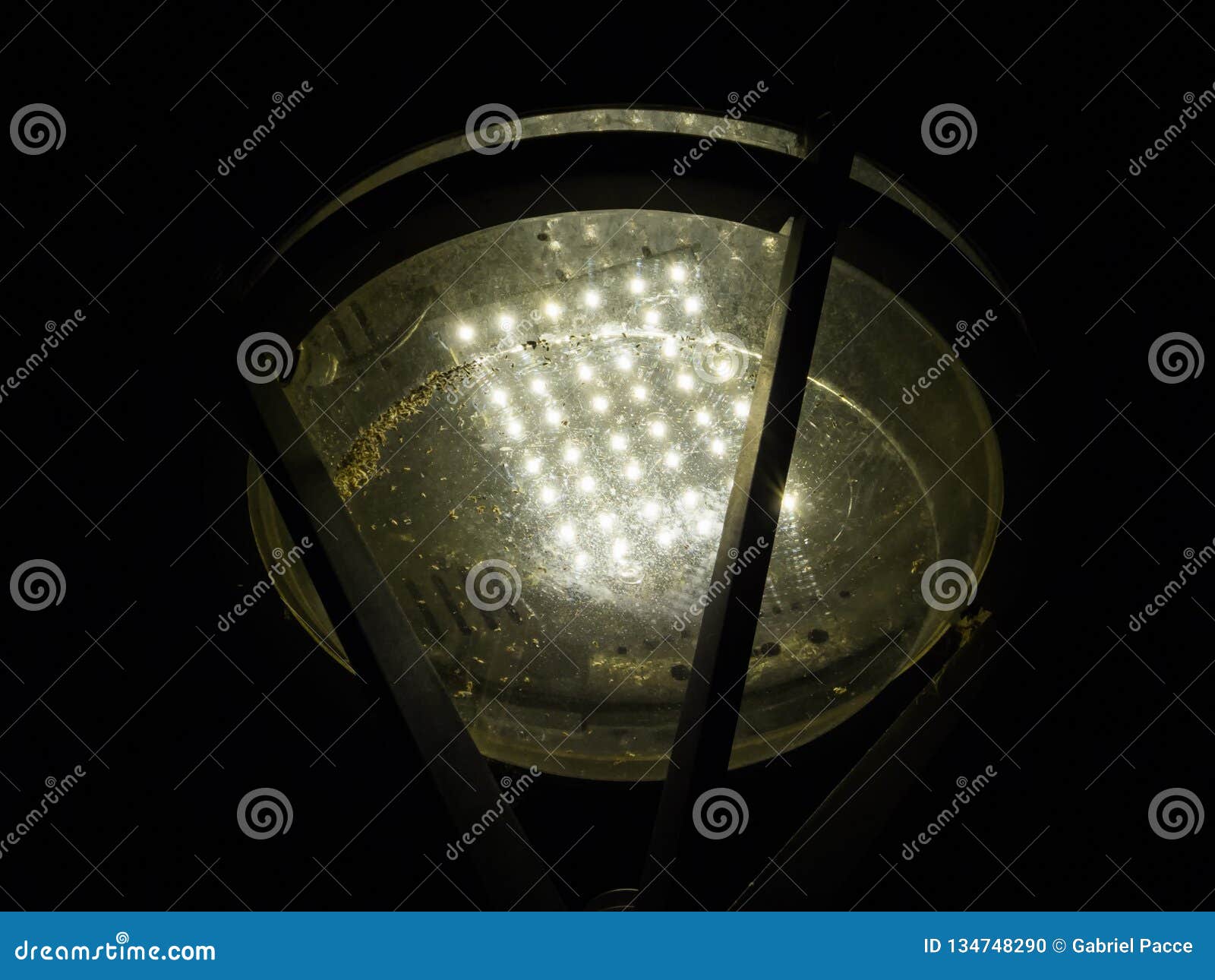 Led Lamp In The Park, Low Angle, With Dead Bugs Stock Photography ...