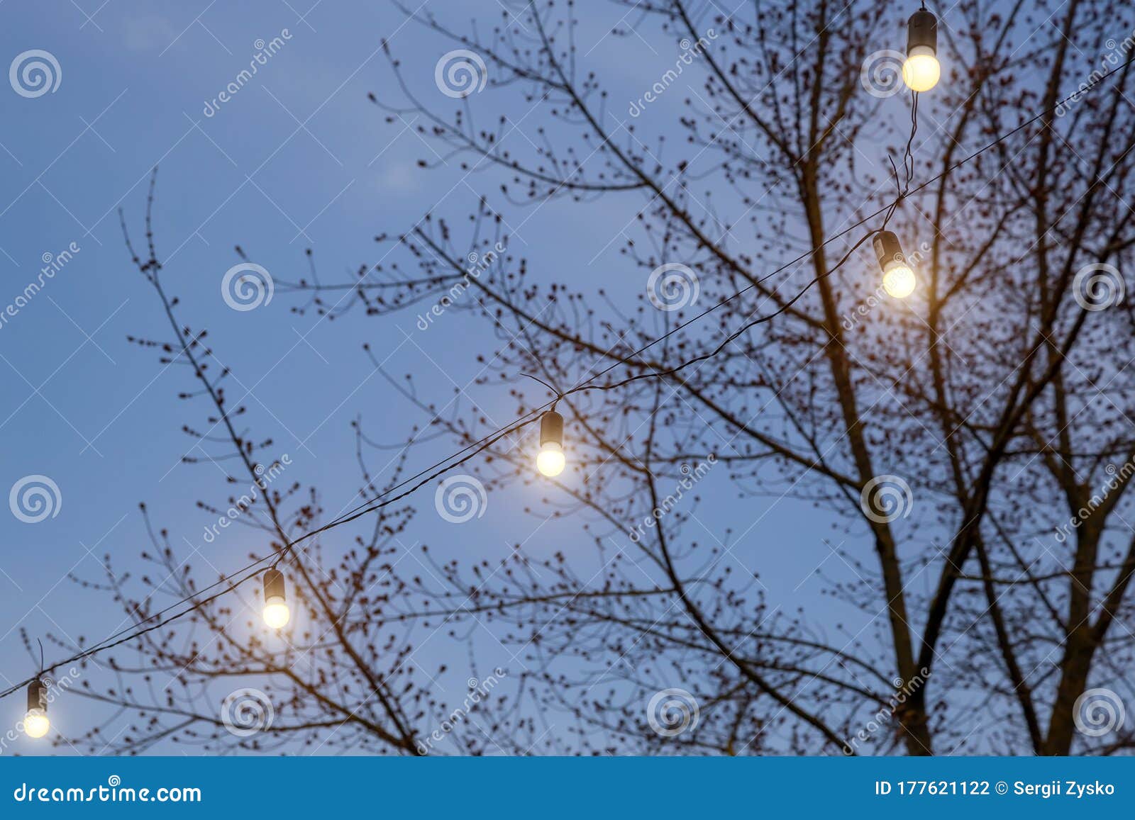 LED Light Bulbs Outdoors in Spring Park Stock Photo - Image of night ...