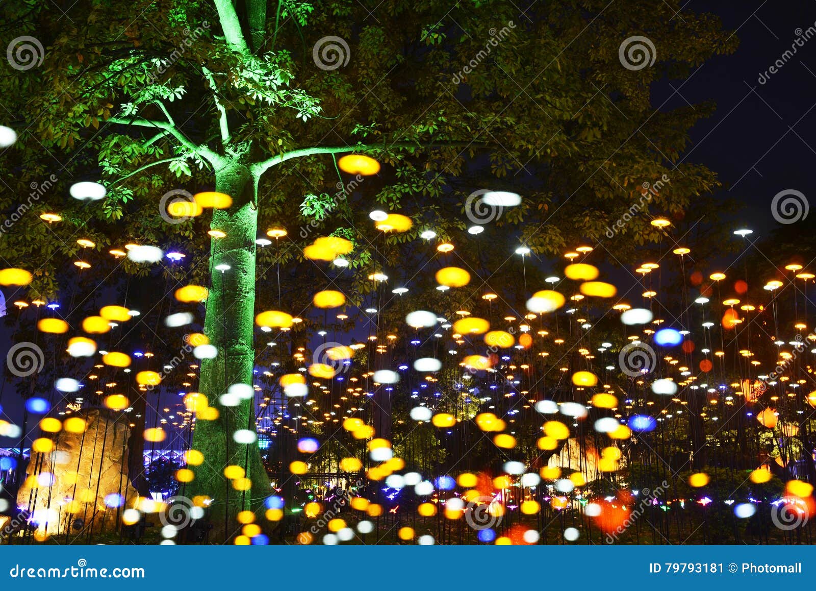 LED light in park stock image. Image of glowing, decorations - 79793181