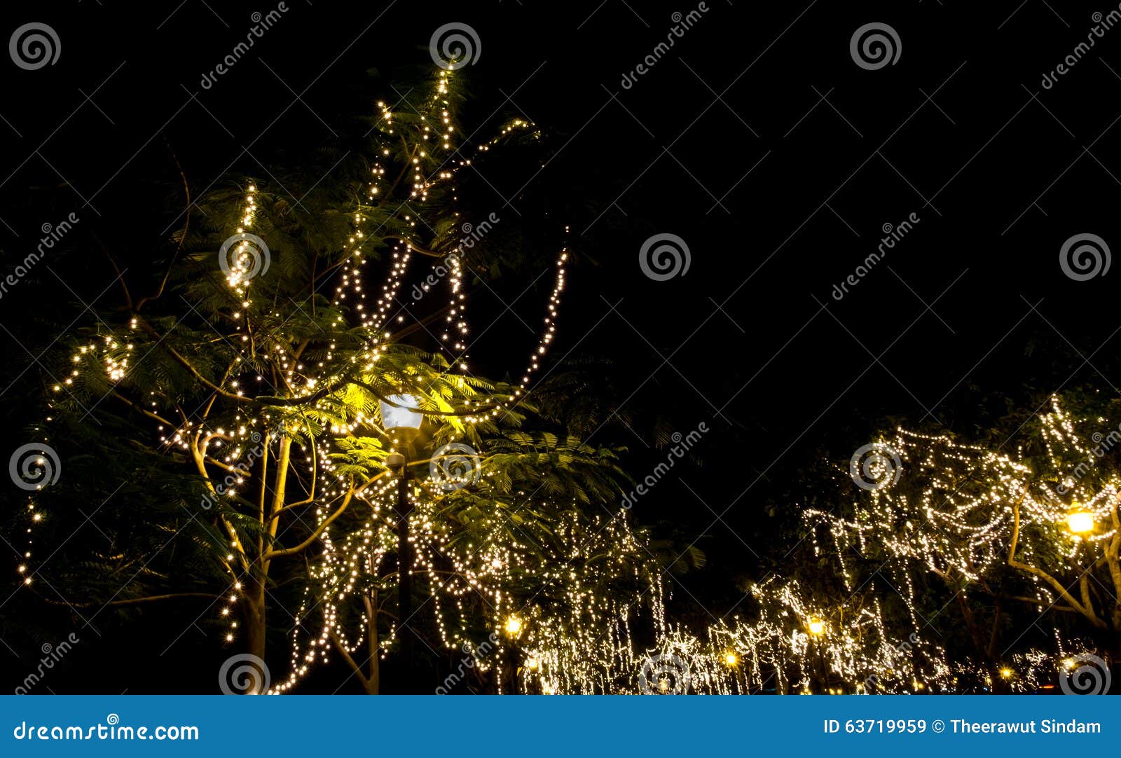 Led light on tree at night stock image. Image of beautiful - 63719959