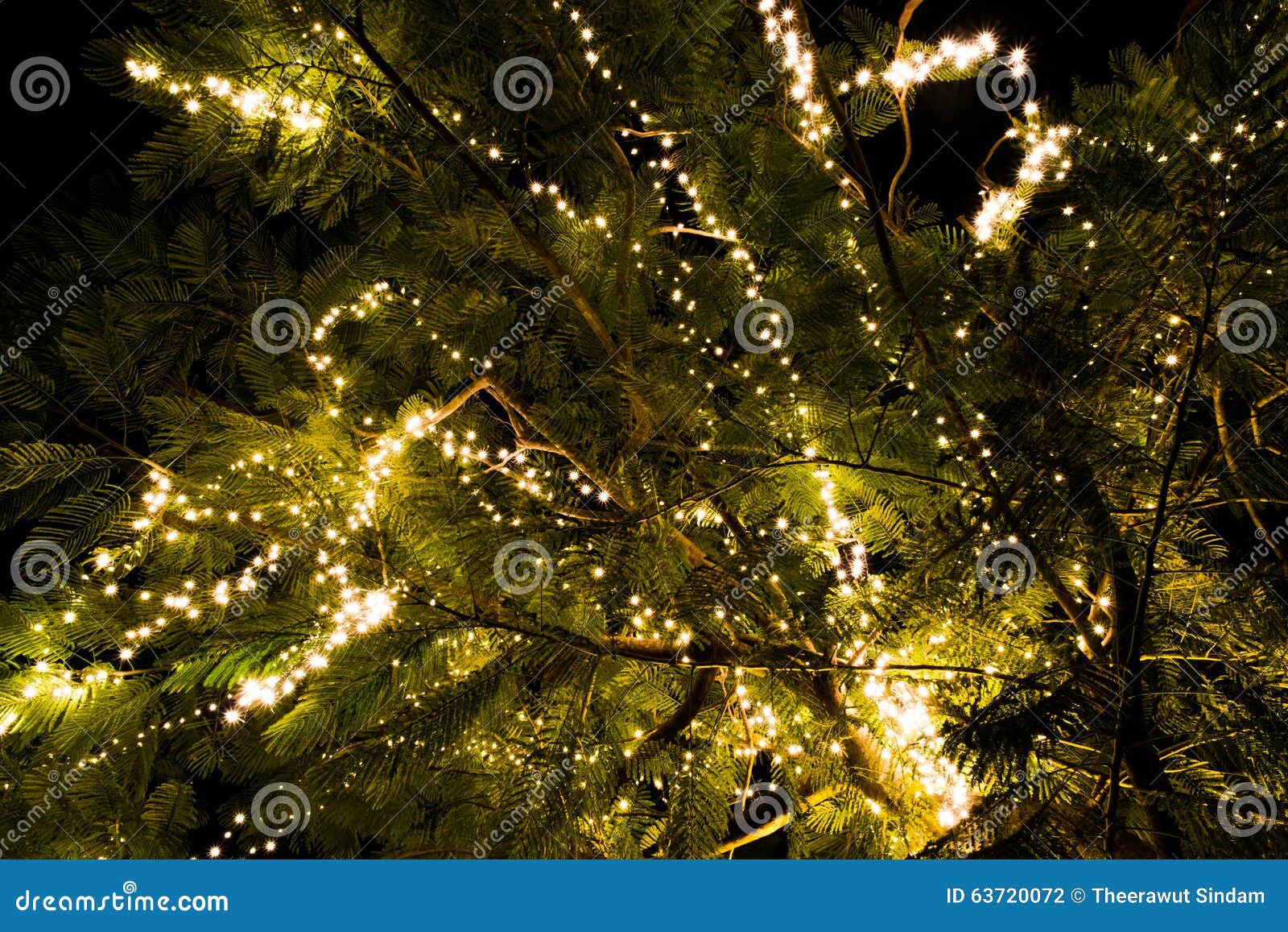 Led light on tree at night stock photo. Image of outdoor - 63720072