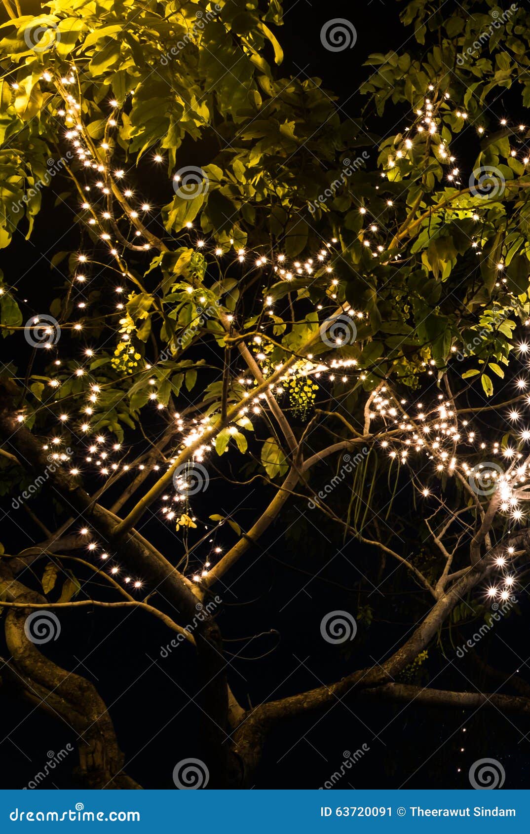 Led light on tree at night stock image. Image of beautiful - 63720091
