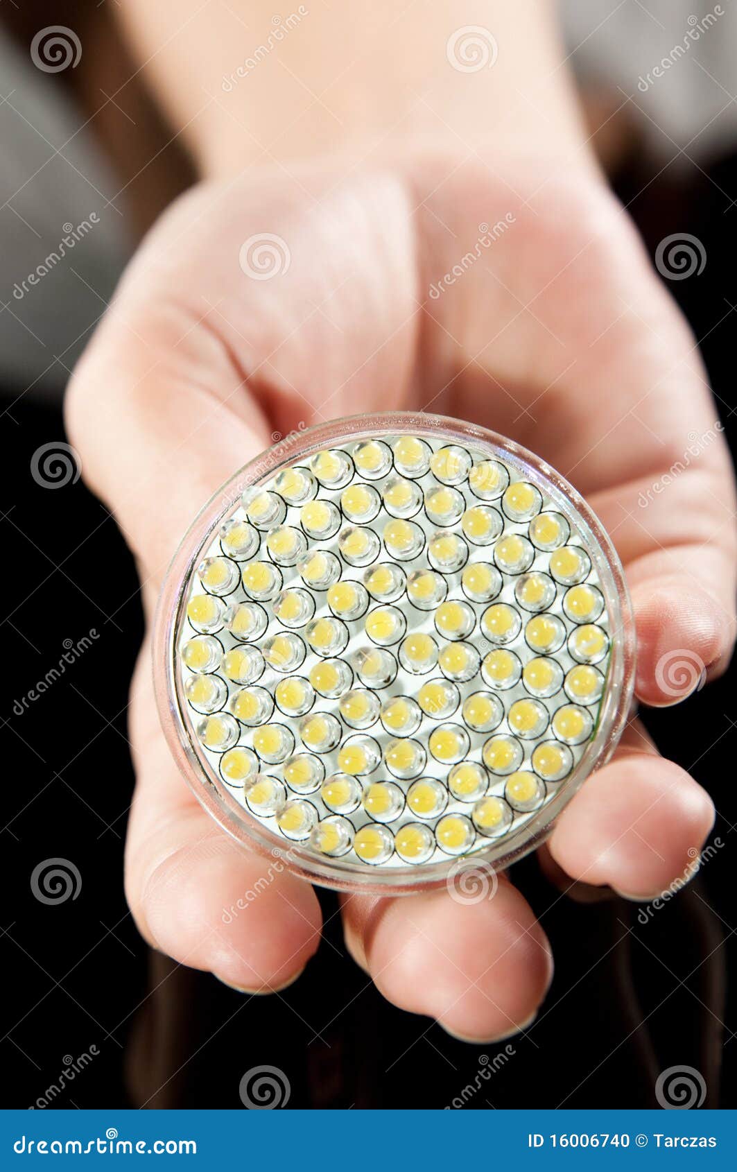 Led lightbulb in hand stock photo. Image of conservation - 16006740