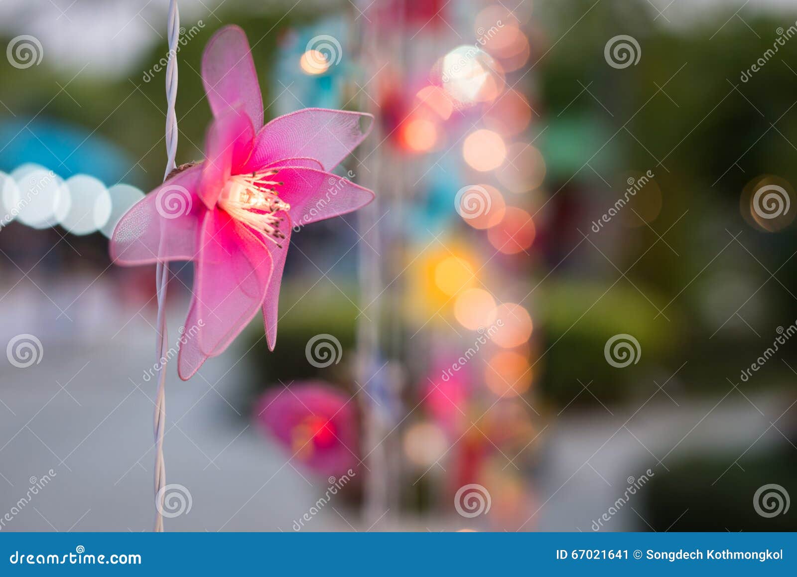 Led Lights in the Form of Pink Flowers Stock Image - Image of glow ...