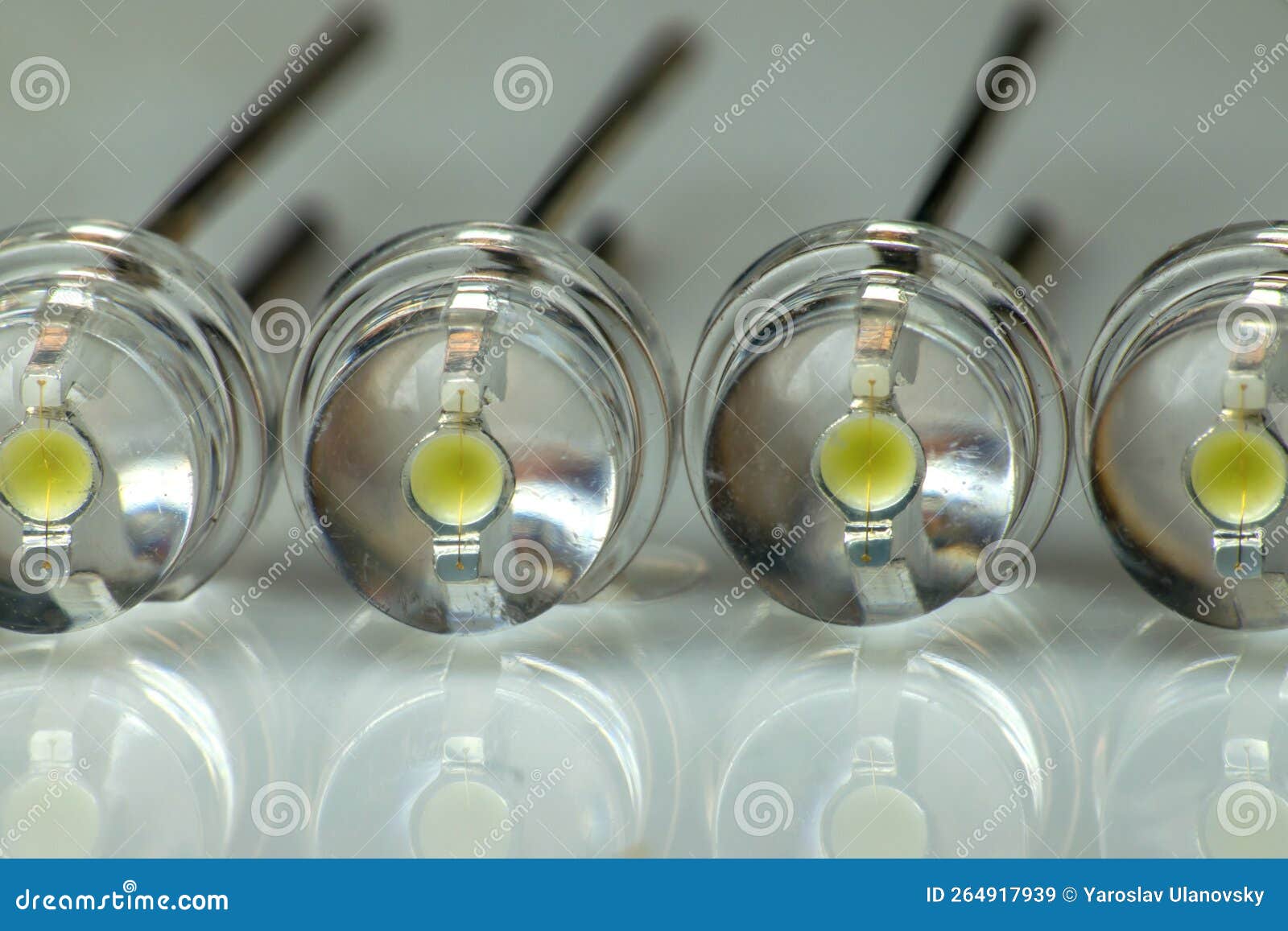 LED Micro Bulbs. Observation of Light Semiconductor Diodes. Electric ...
