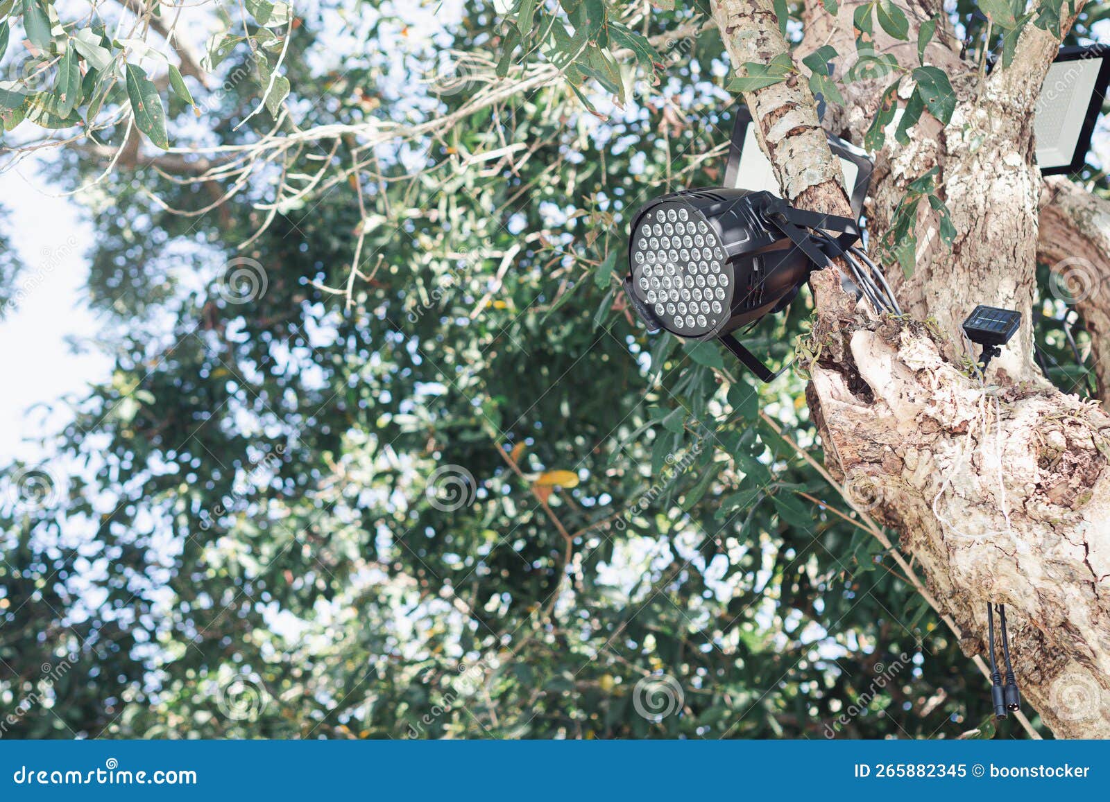 The LED Spotlight is Installed on the Trees To Illuminate the Night ...