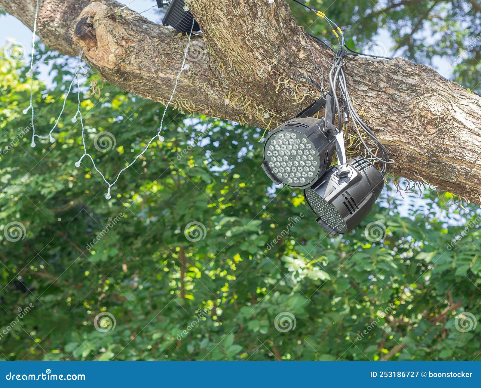 The LED Spotlights are Installed on the Trees To Illuminate the Night ...