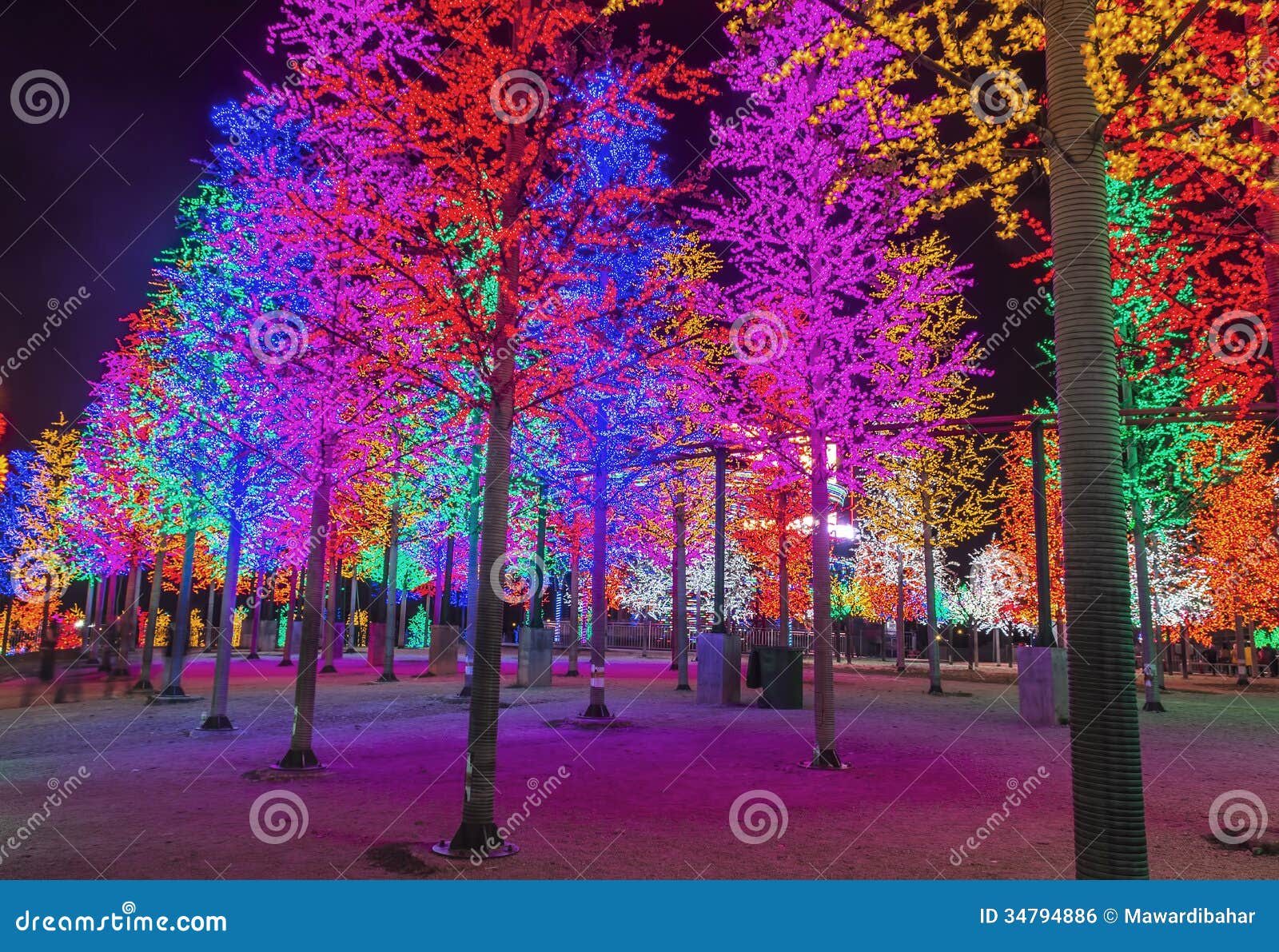 LED Tree stock photo. Image of beautiful, advance, colorful - 34794886
