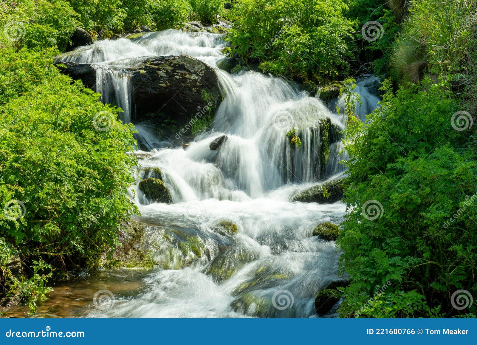 Lee Abbey beach in Devon stock photo. Image of england - 221600766