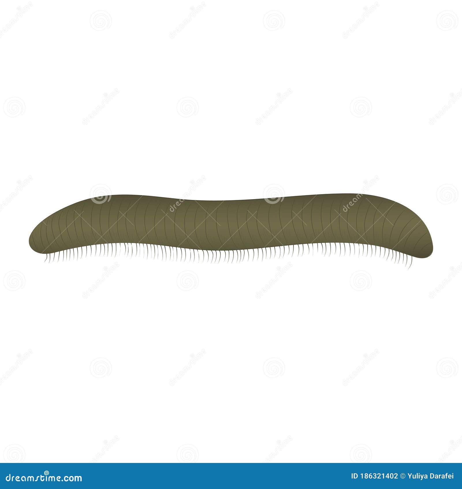 Leech Color Illustration Isolated on White Background. Stock Vector ...