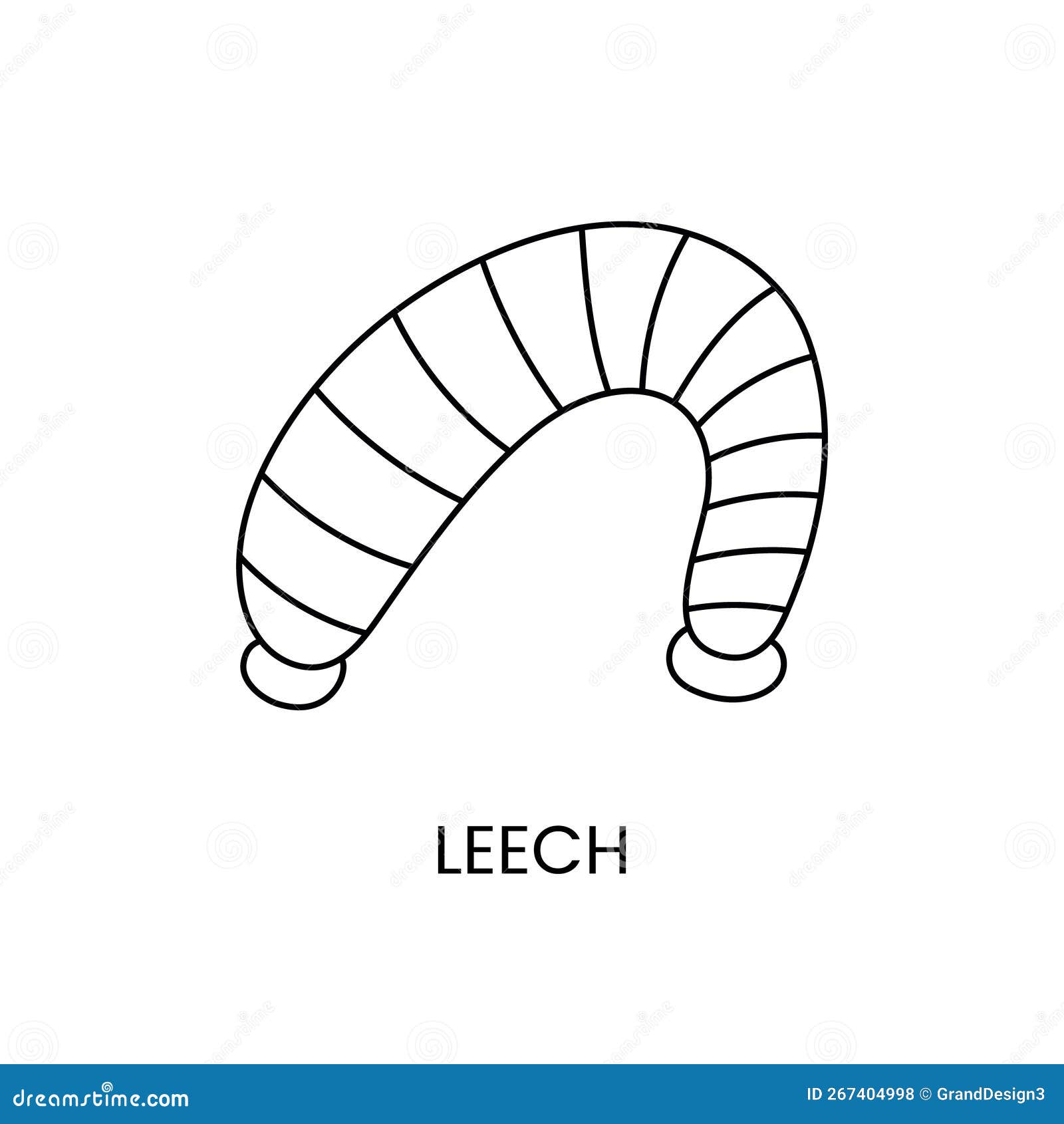 Leech Vector Icon Isolated On White Background. Outline, Thin Line ...